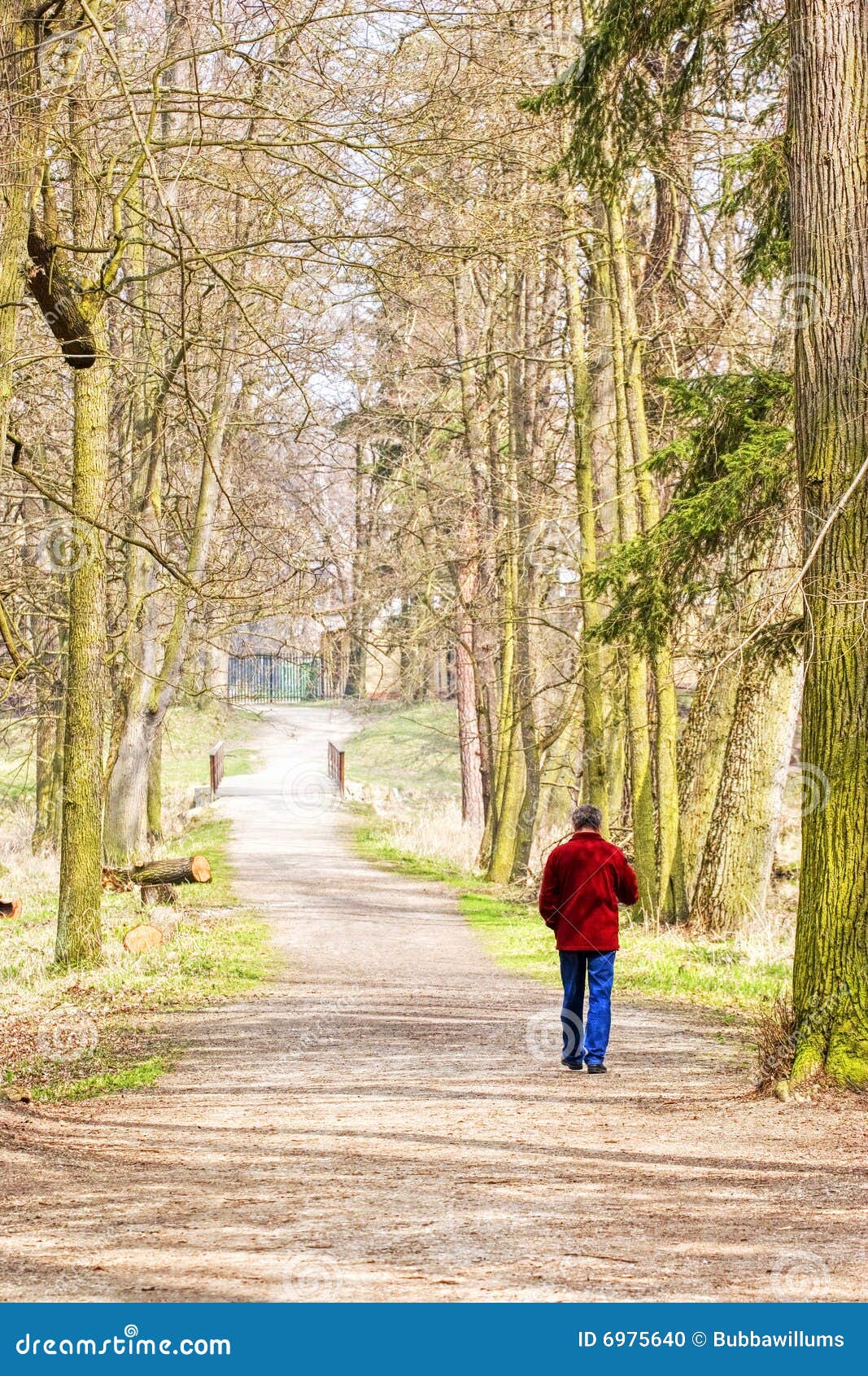 Man Walking Alone in Forest Stock Photo - Image of landscape, contrast ...