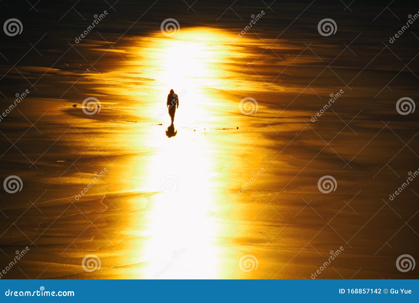 Walk Alone on the Ice Under the Sun Stock Photo - Image of sunset ...