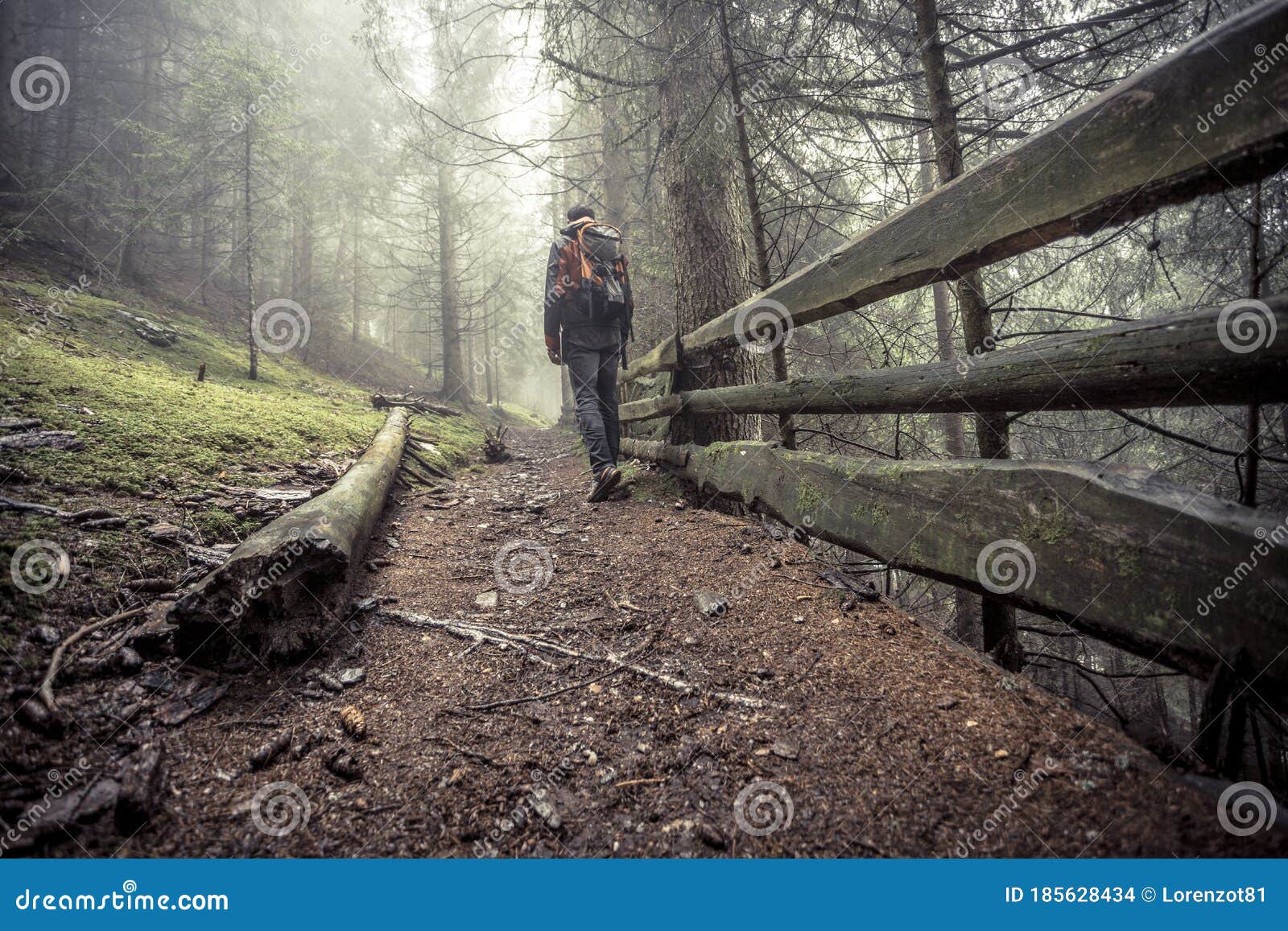 A Man Walking Alone Inside a Forest in a Foggy Day Stock Photo - Image ...