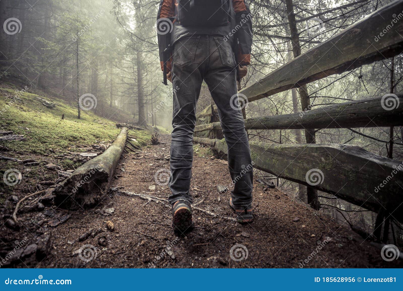 A Man Walking Alone Inside a Forest in a Foggy Day Stock Photo - Image ...