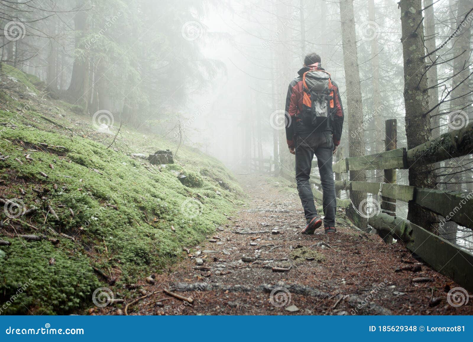 A Man Walking Alone Inside a Forest in a Foggy Day Stock Photo - Image ...