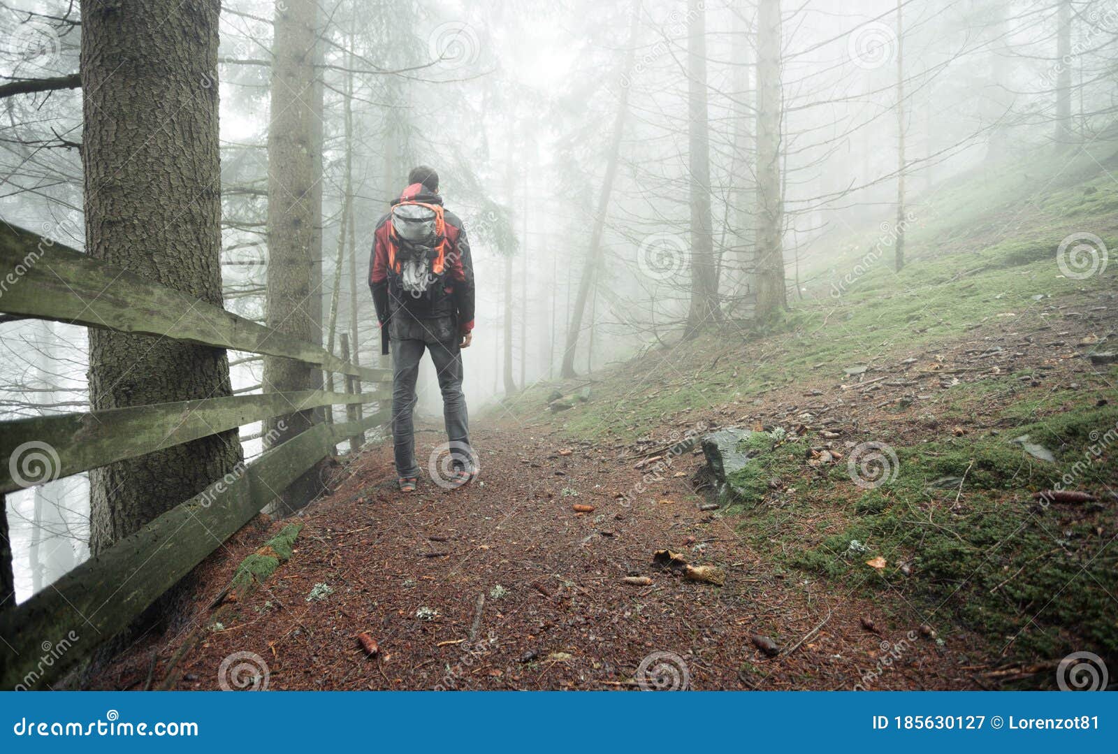 A Man Walking Alone Inside a Forest in a Foggy Day Stock Image - Image ...