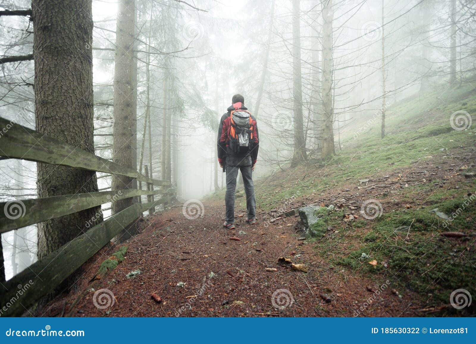 A Man Walking Alone Inside a Forest in a Foggy Day Stock Photo - Image ...