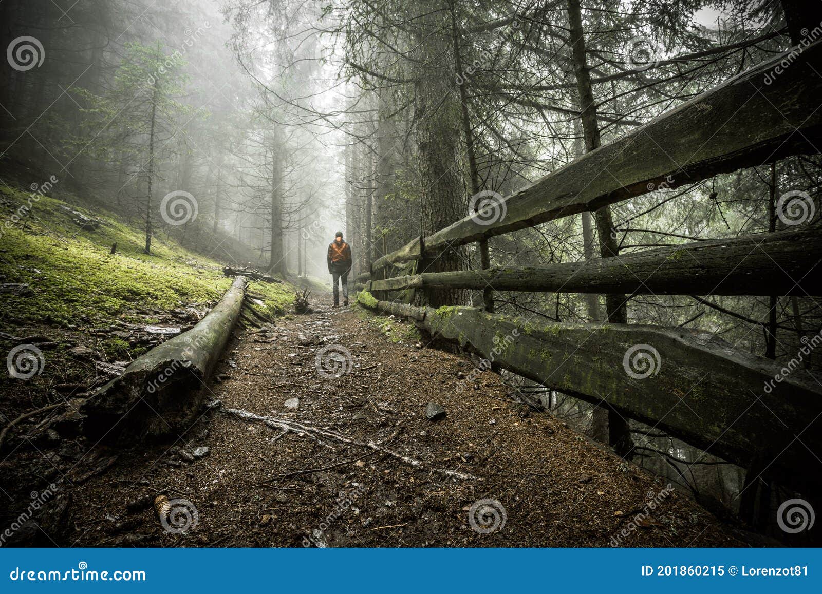 A Man Walking Alone Inside a Forest in a Foggy Day Stock Image - Image ...