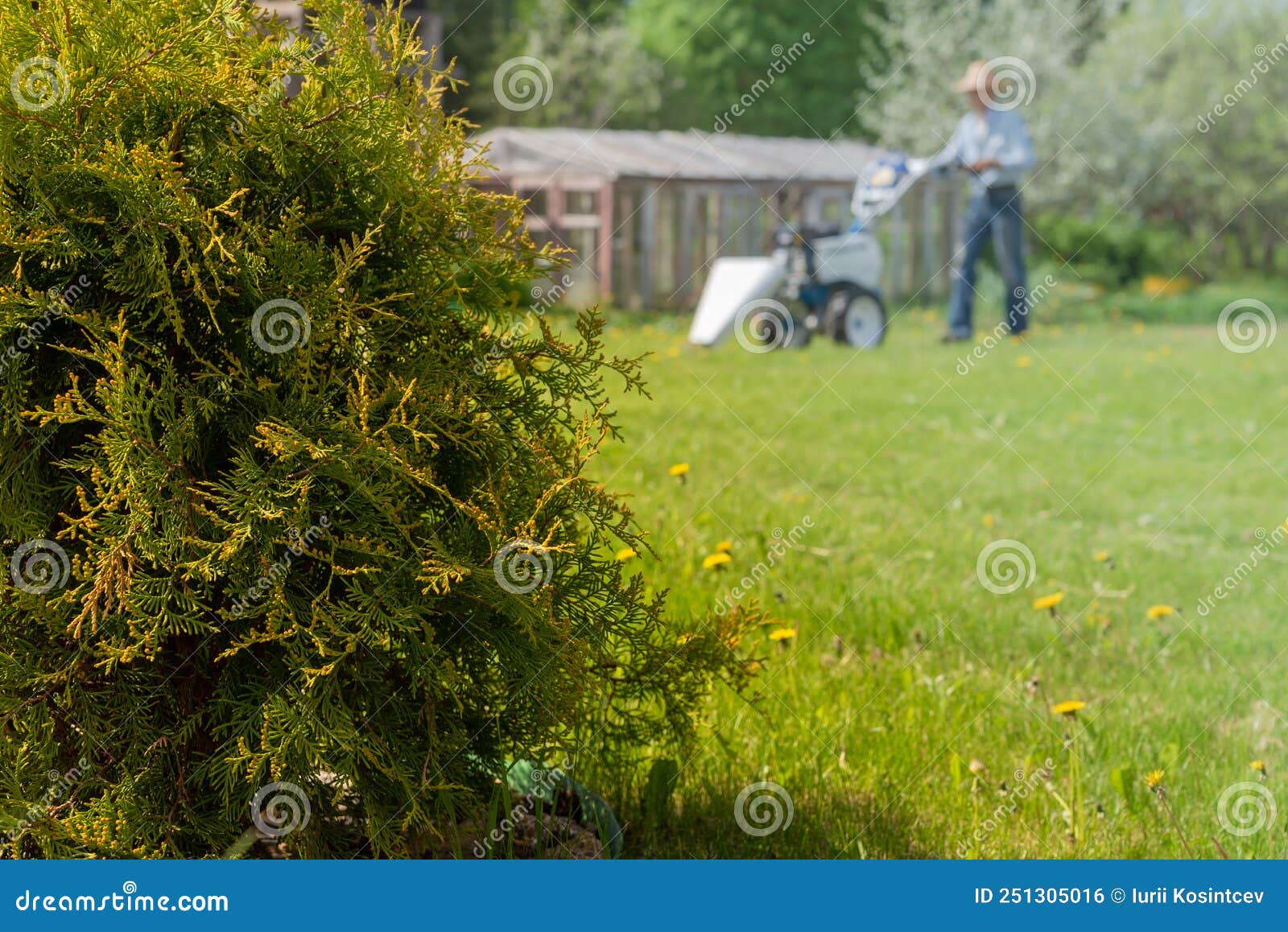 A Man Walking Behind a Tillerblock on a Garden Plot Stock Photo - Image ...