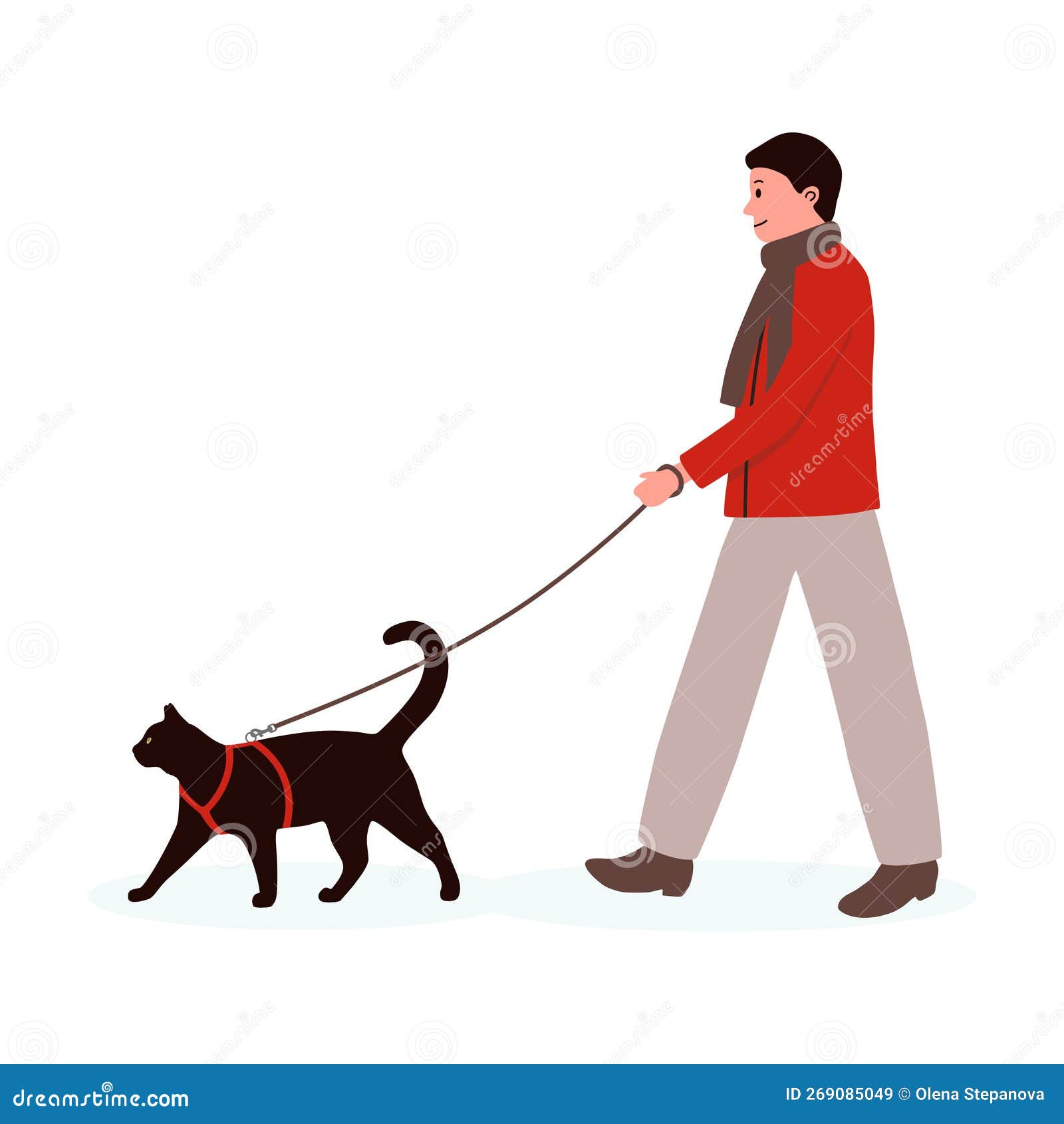 Man Walking a Cat on a Leash, Vector Illustration in Flat Style Stock ...