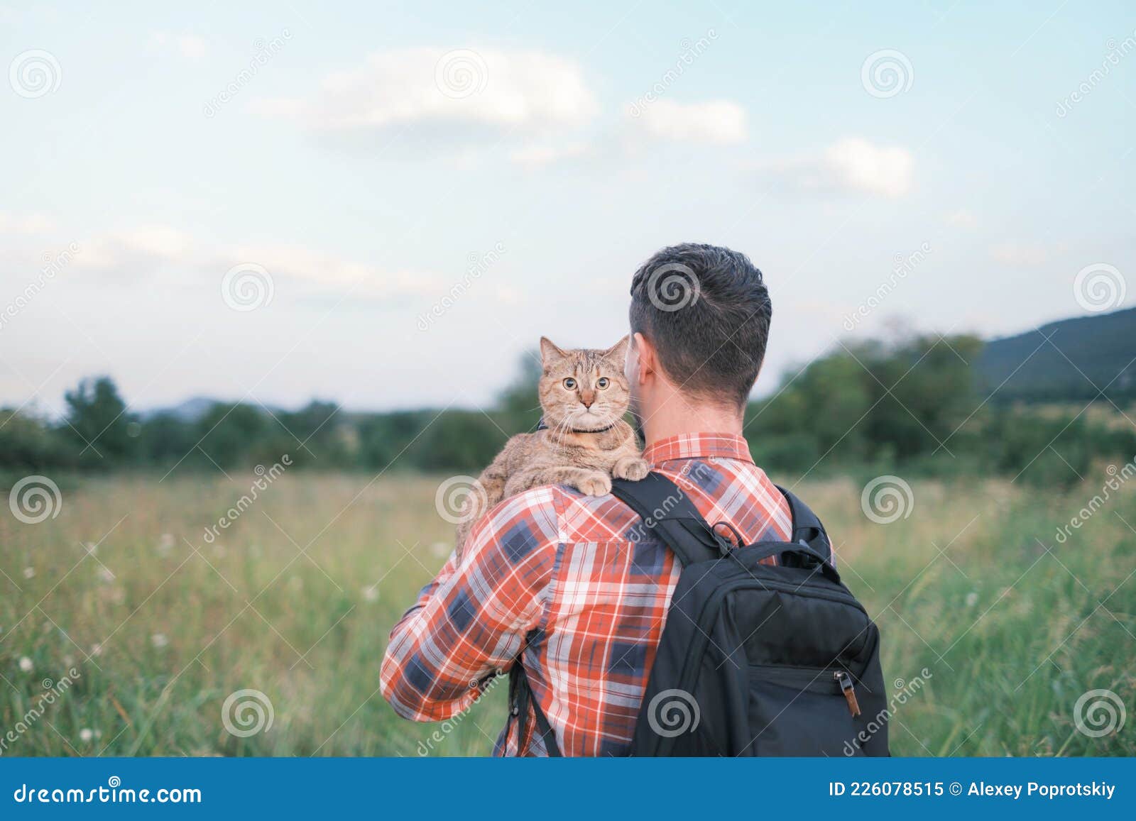 Man Walking with Cat in Summer Park. Stock Image - Image of friendship ...