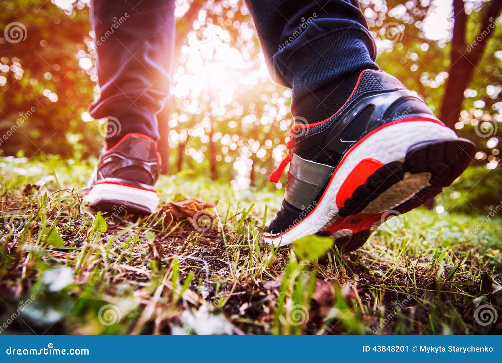 Man Walking Cross Country and Trail in Spring Forest Stock Image ...