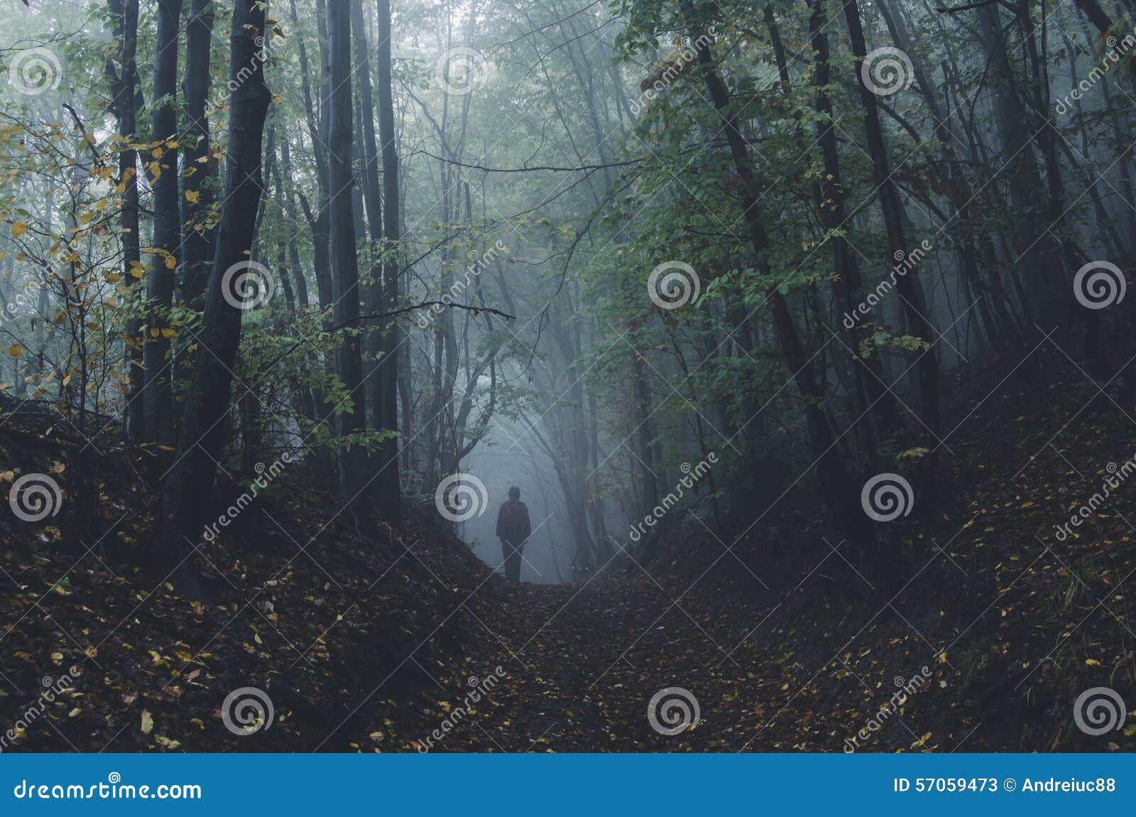 Man Walking in Dark Mysterious Forest with Fog after Rain Stock Image ...