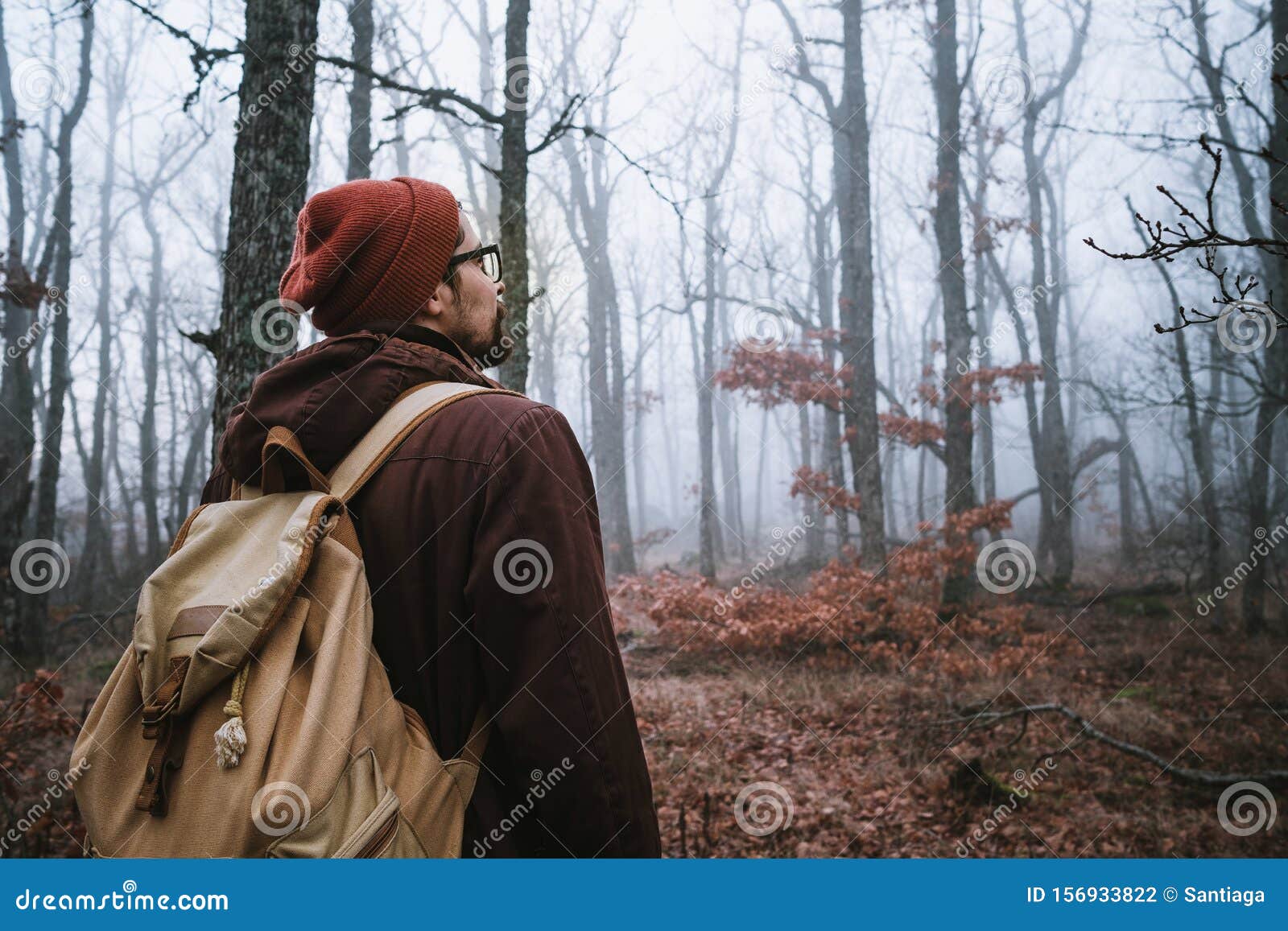Man Walking on a Dark Path through a Spooky Forest Stock Photo - Image ...