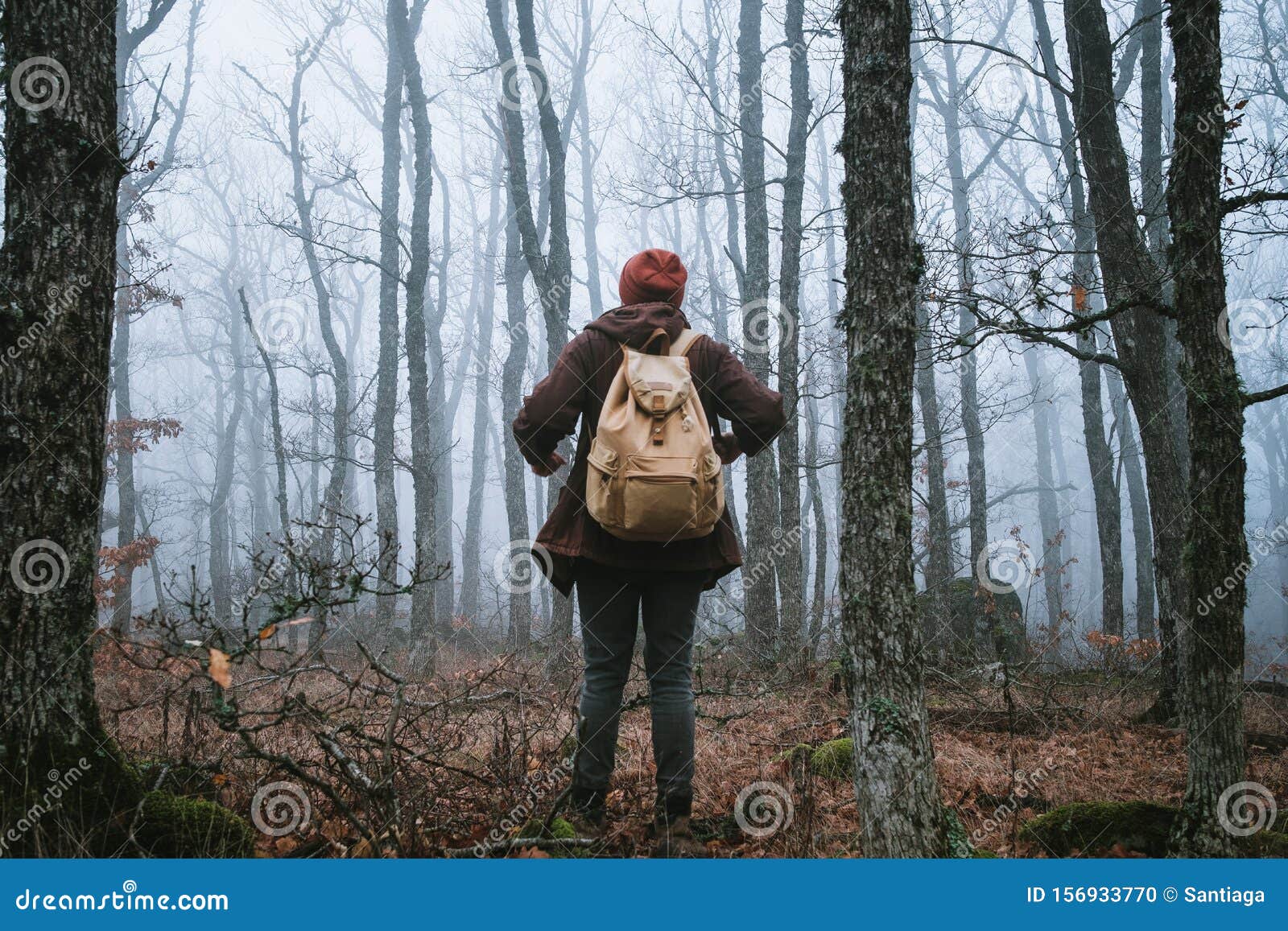 Man Walking on a Dark Path through a Spooky Forest Stock Photo - Image ...