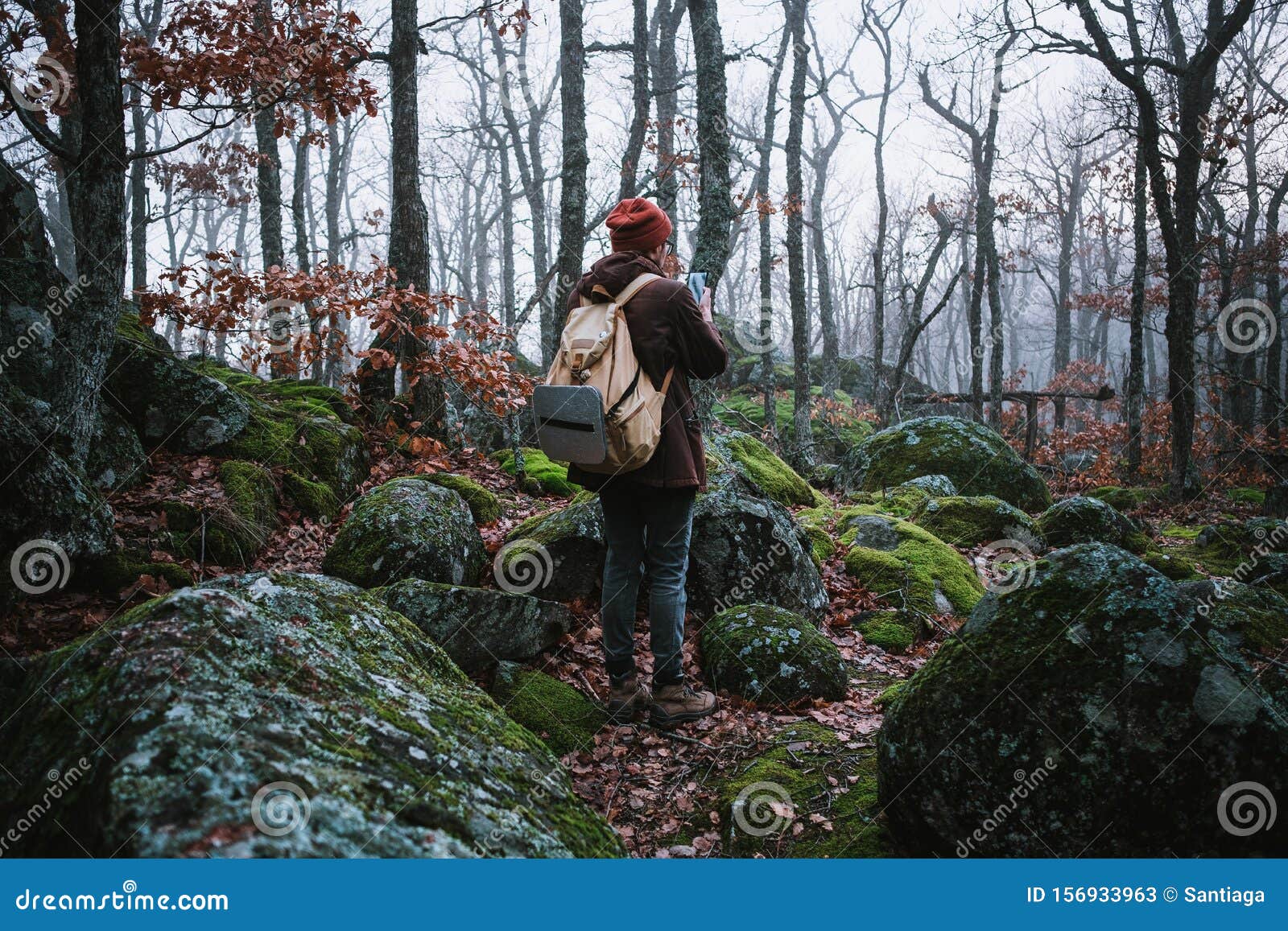 Man Walking on a Dark Path through a Spooky Forest Stock Image - Image ...