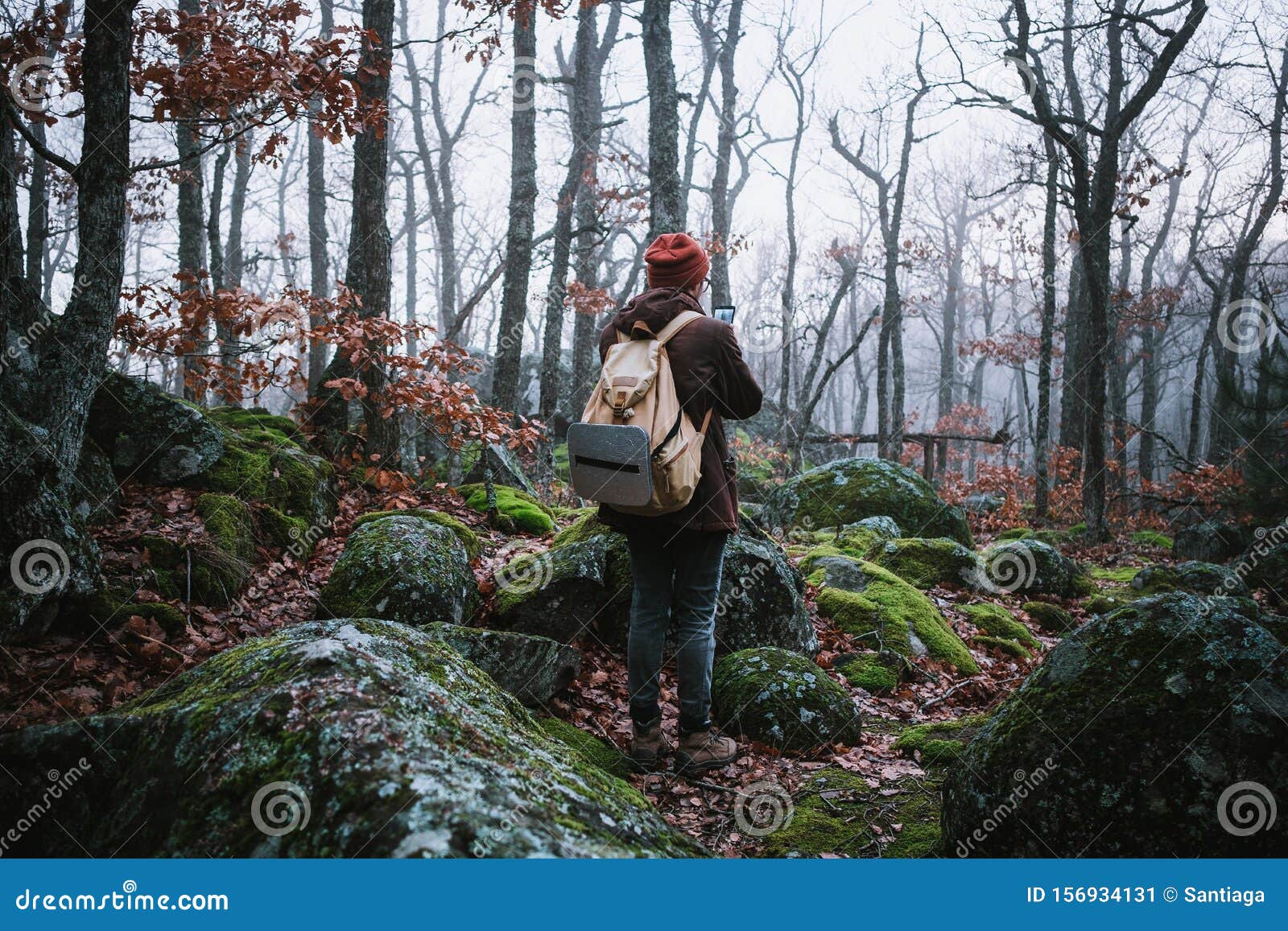 Man Walking on a Dark Path through a Spooky Forest Stock Image - Image ...