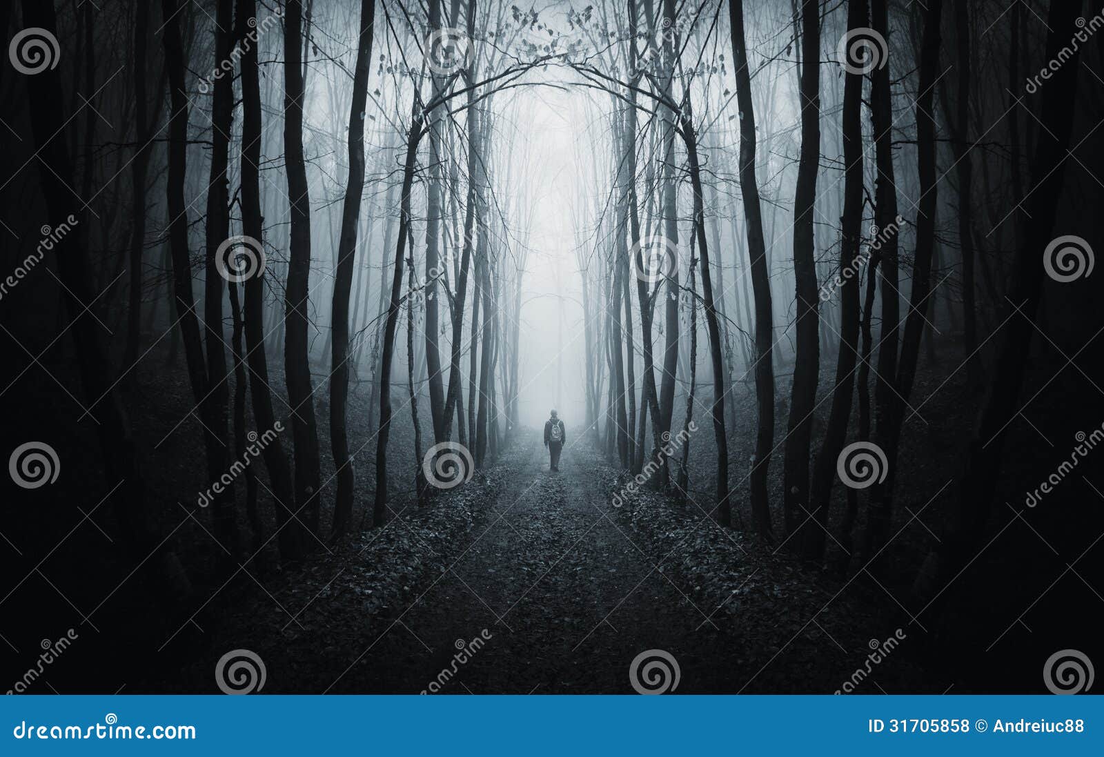 Man Walking on a Dark Path in a Strange Dark Forest with Fog Stock ...