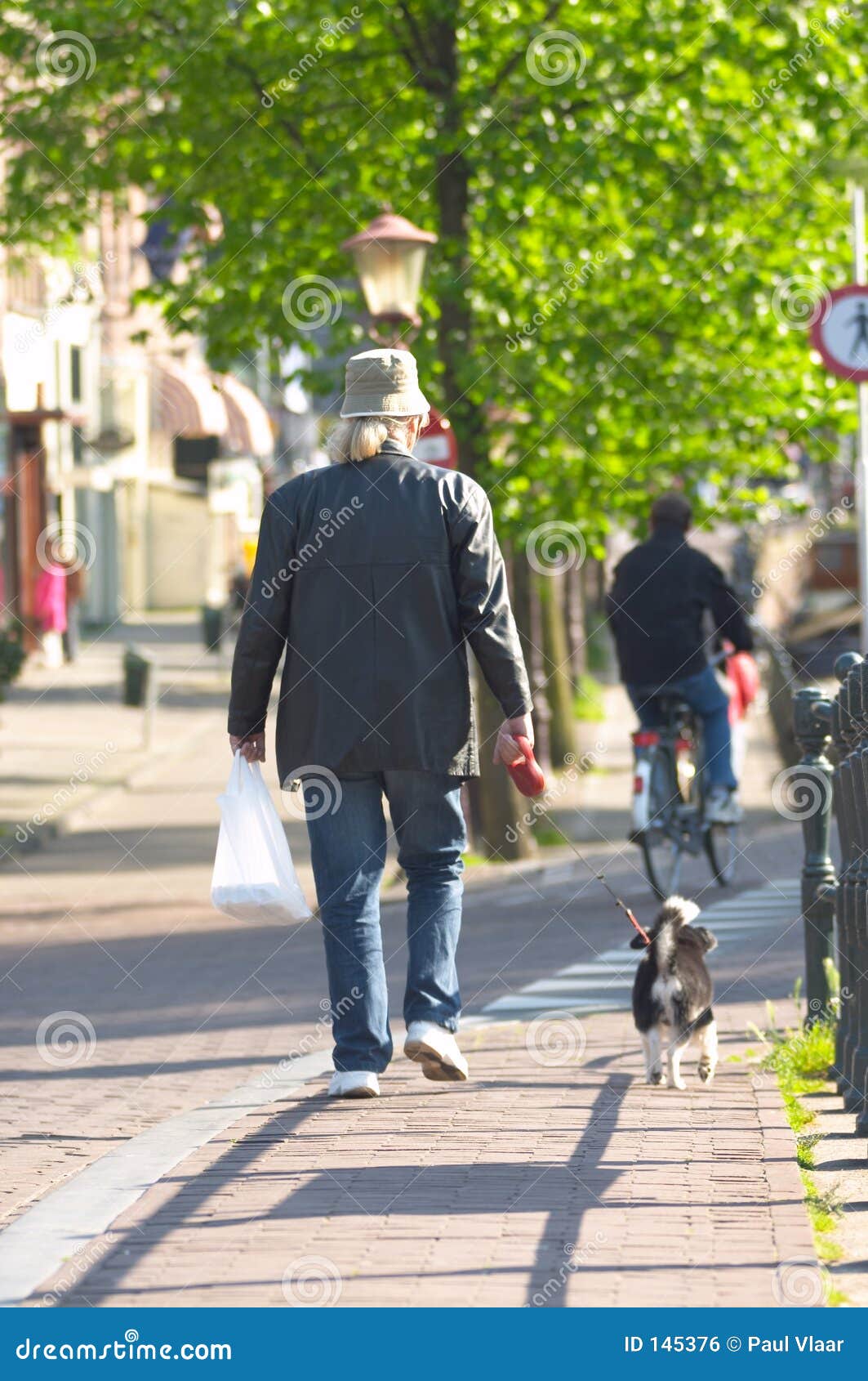 Man walking dog editorial photo. Image of holland, pedestrian - 145376