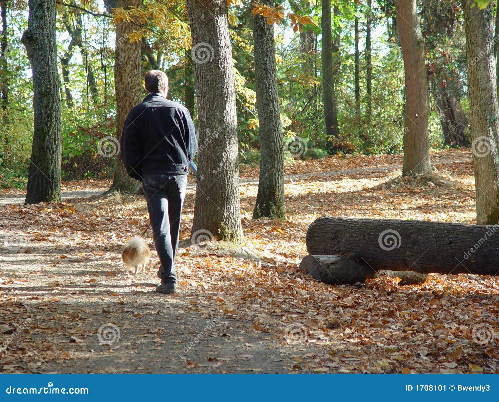 Man Walking Dog Stock Image - Image: 1708101