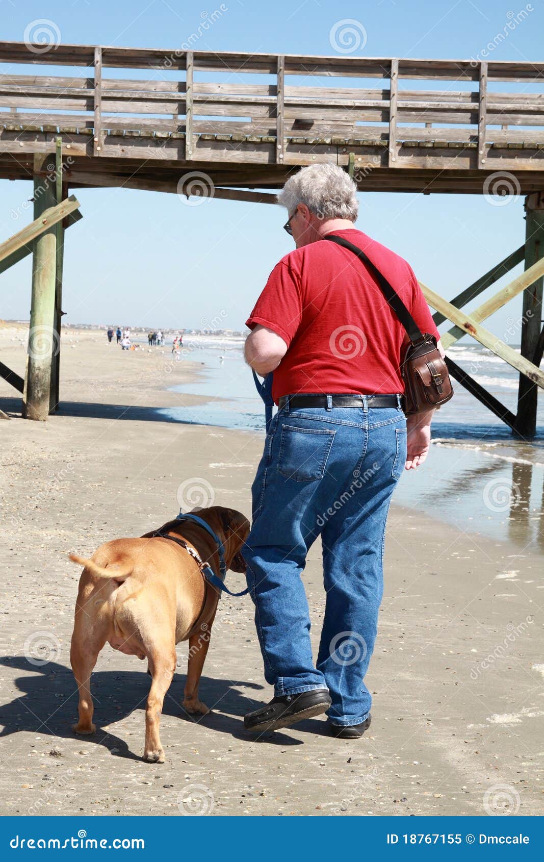 Man walking dog stock image. Image of sand, home, mobile - 18767155
