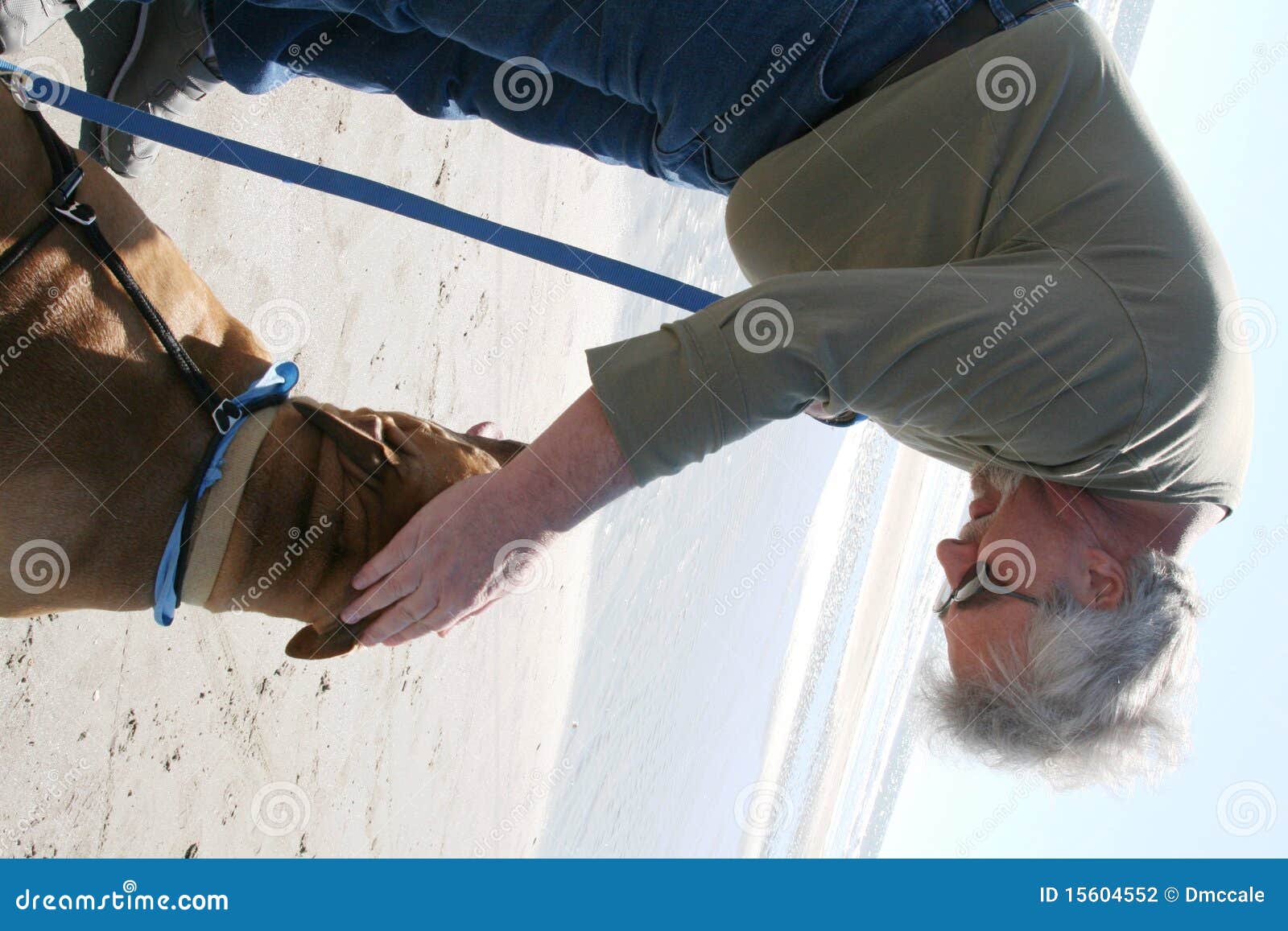 106 Obey Beach Photos - Free & Royalty-Free Stock Photos from Dreamstime