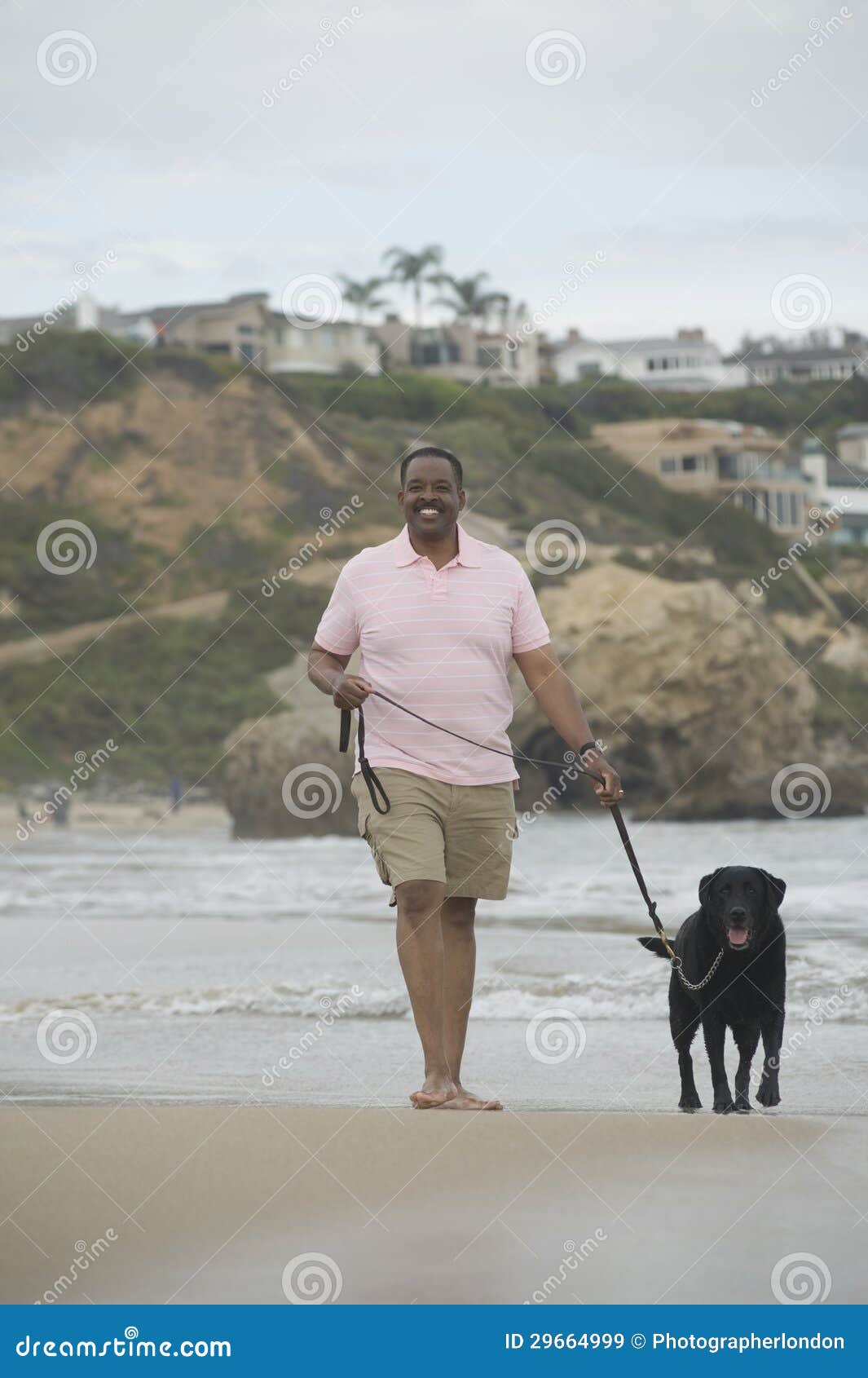 Man Walking with Dog at Beach Stock Image - Image of edge, enjoyment ...