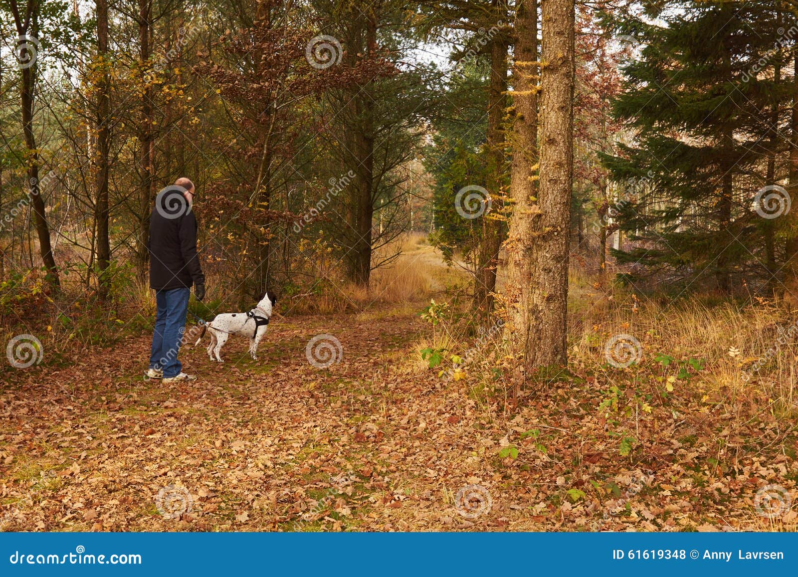 Man Walking the Dog in the Forest at Fall Stock Photo - Image of fall ...