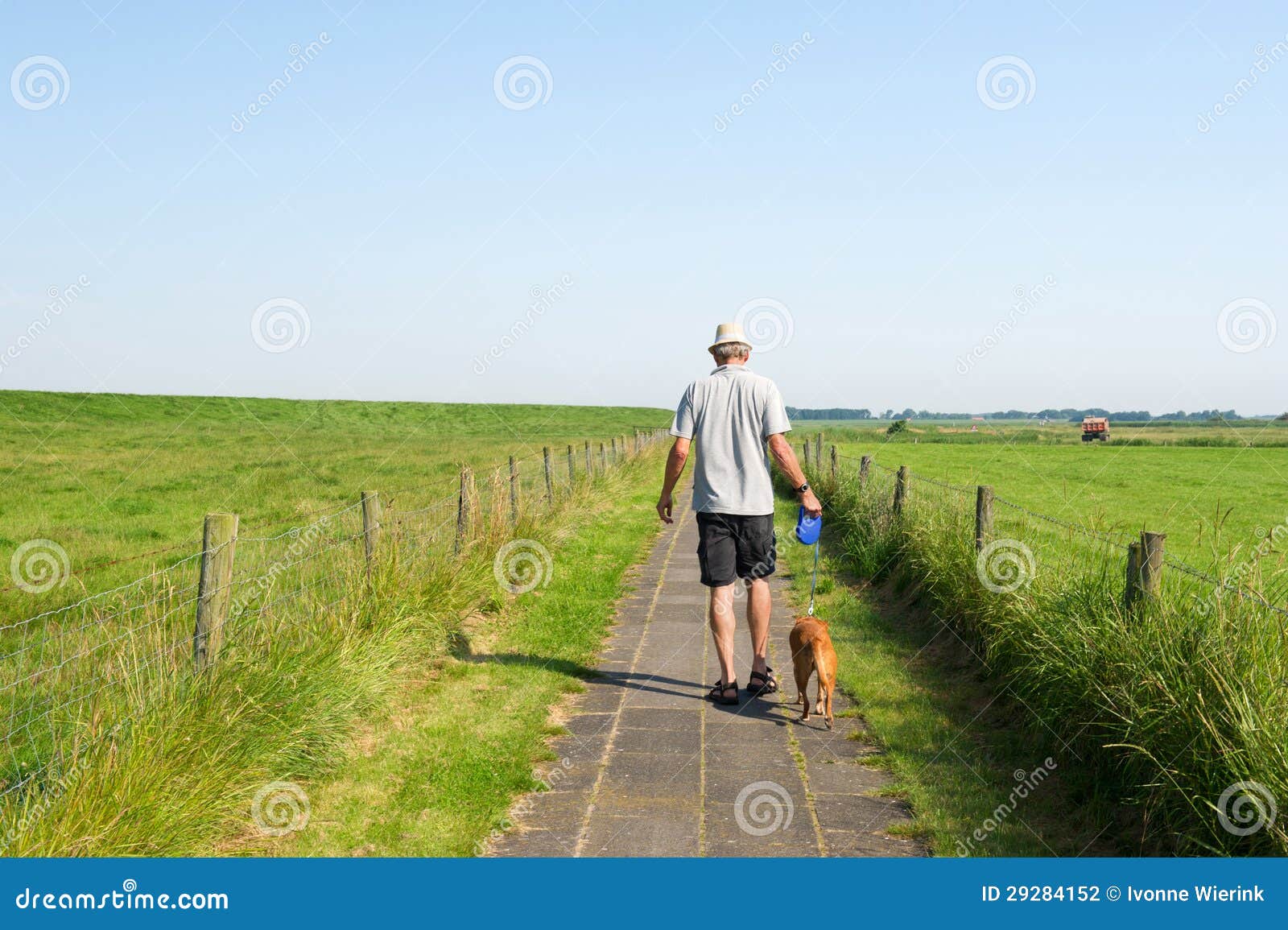 Man Walking the Dog in Summer Landscape Stock Photo - Image of outdoor ...