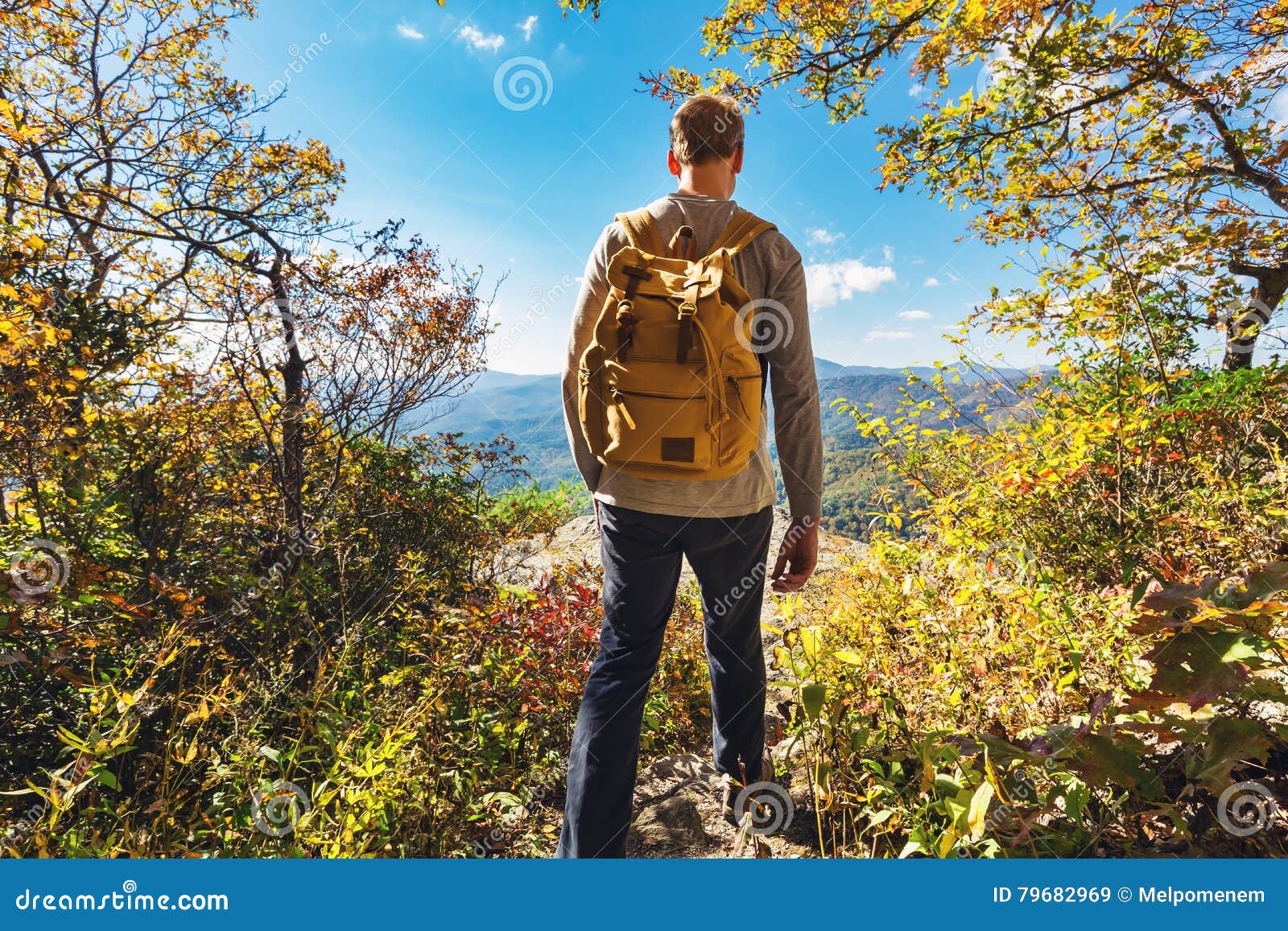 Man Walking on the Edge of a Cliff Stock Image - Image of foliage ...