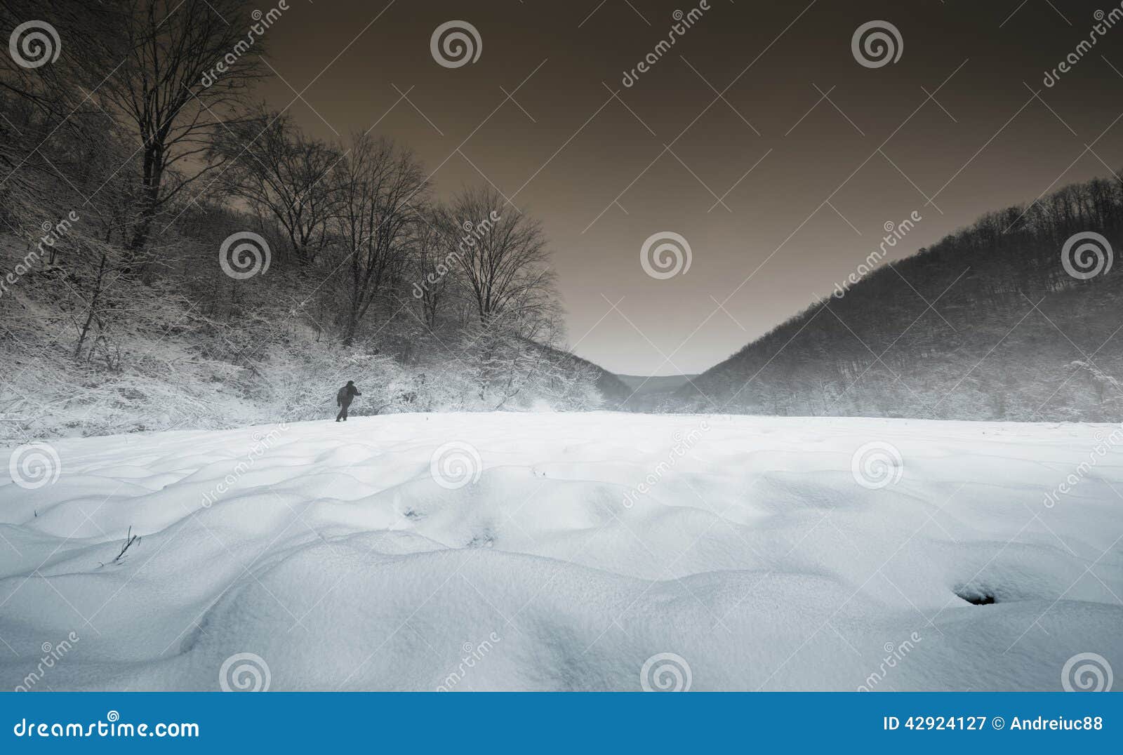 Enchanted Snow Scenes