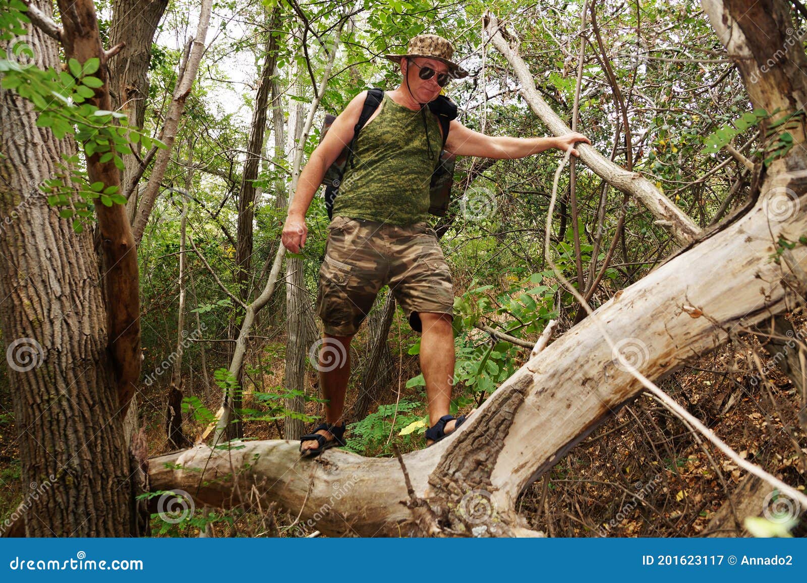 A Man Walking on a Fallen Tree Stock Image - Image of hike, climbing ...