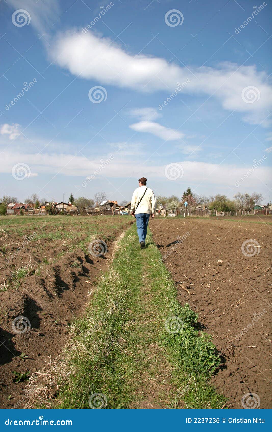 Man Walking through Farm Field Stock Photo - Image of farm, rows: 2237236