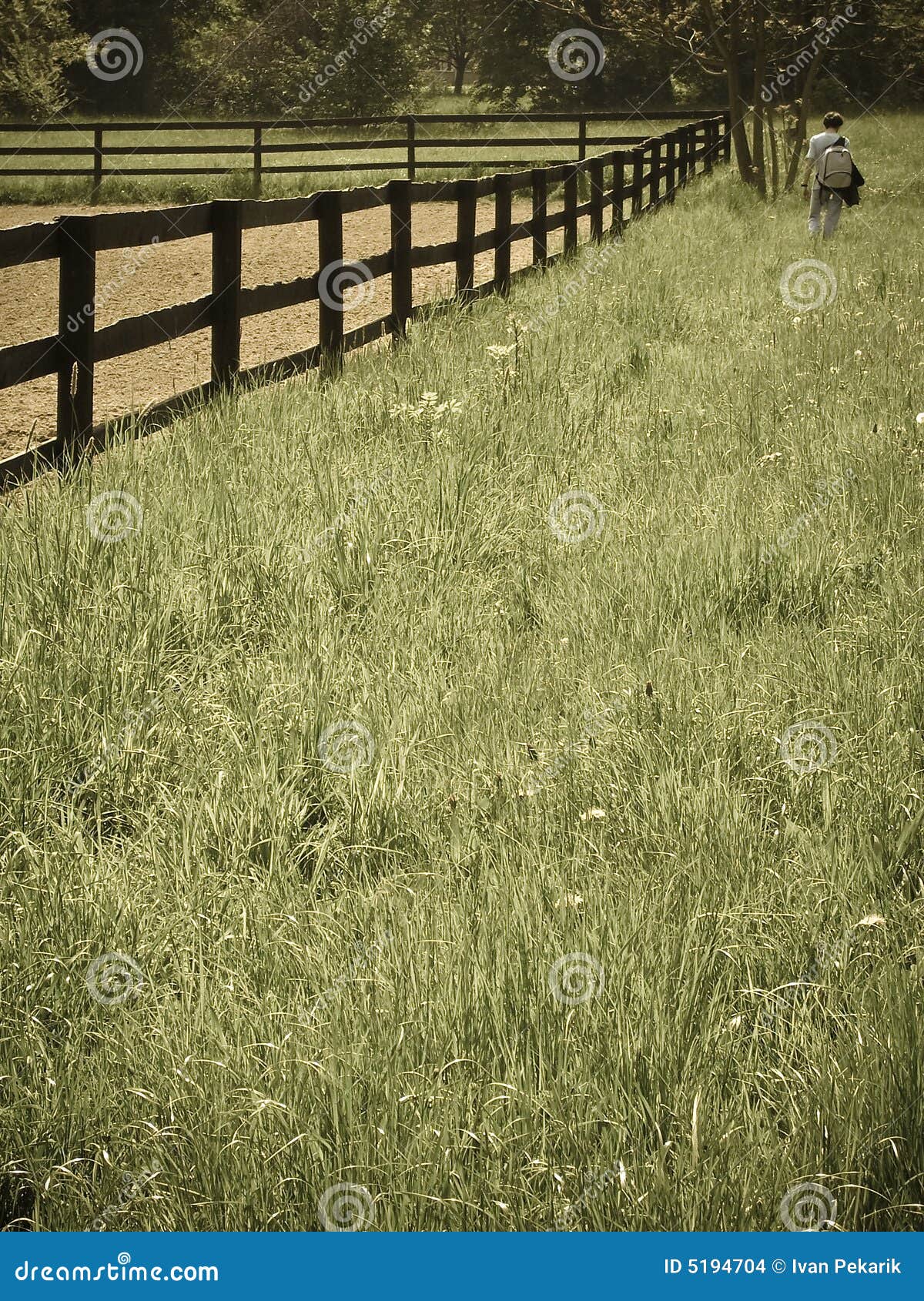 Man Walking through a Field Stock Photo - Image of future, romantic ... Man Walking through a Field Stock Photo - Image of future, romantic ...