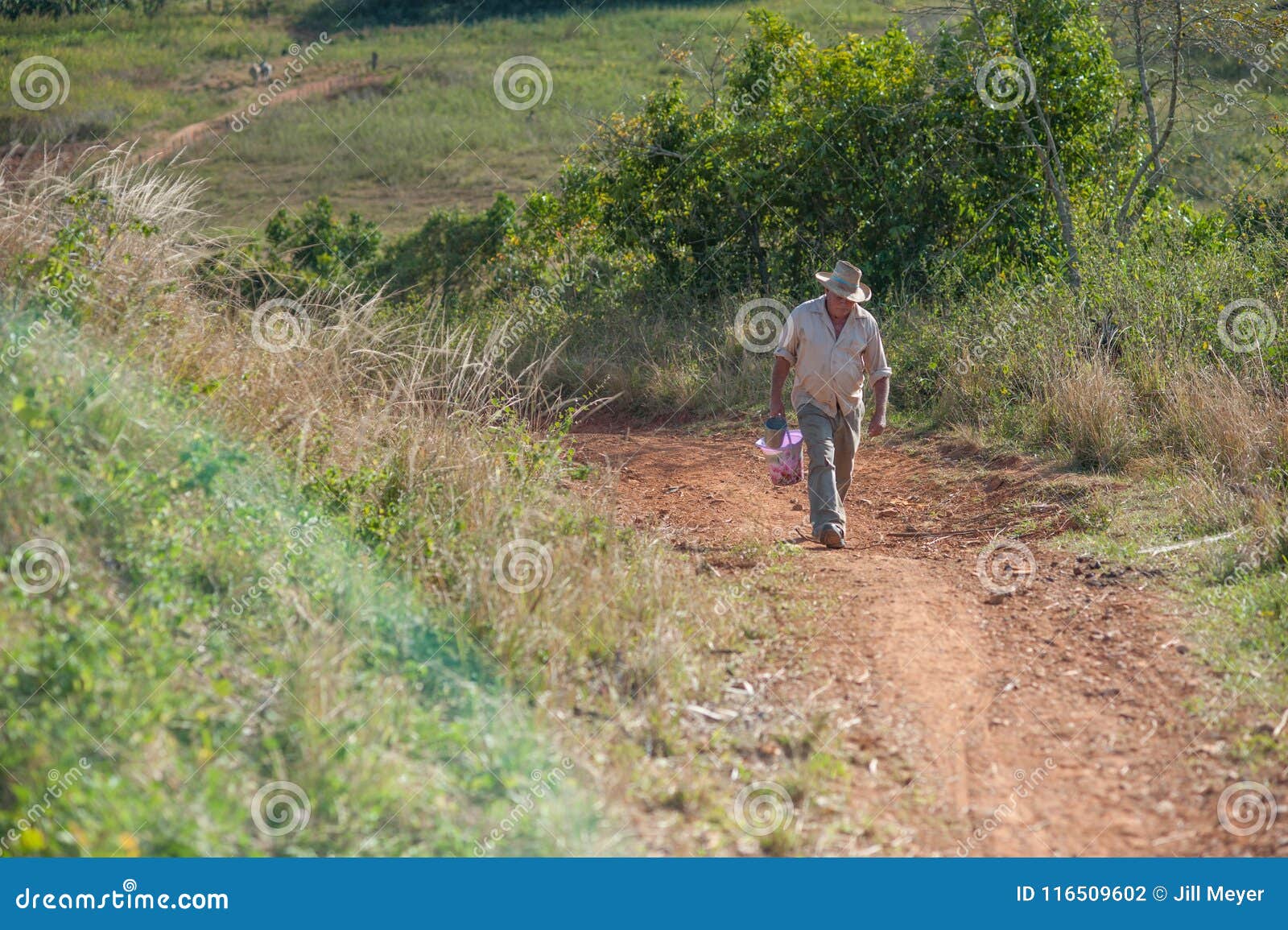 Man Walking in from the Field Editorial Photography - Image of news ... Man Walking in from the Field Editorial Photography - Image of news ...