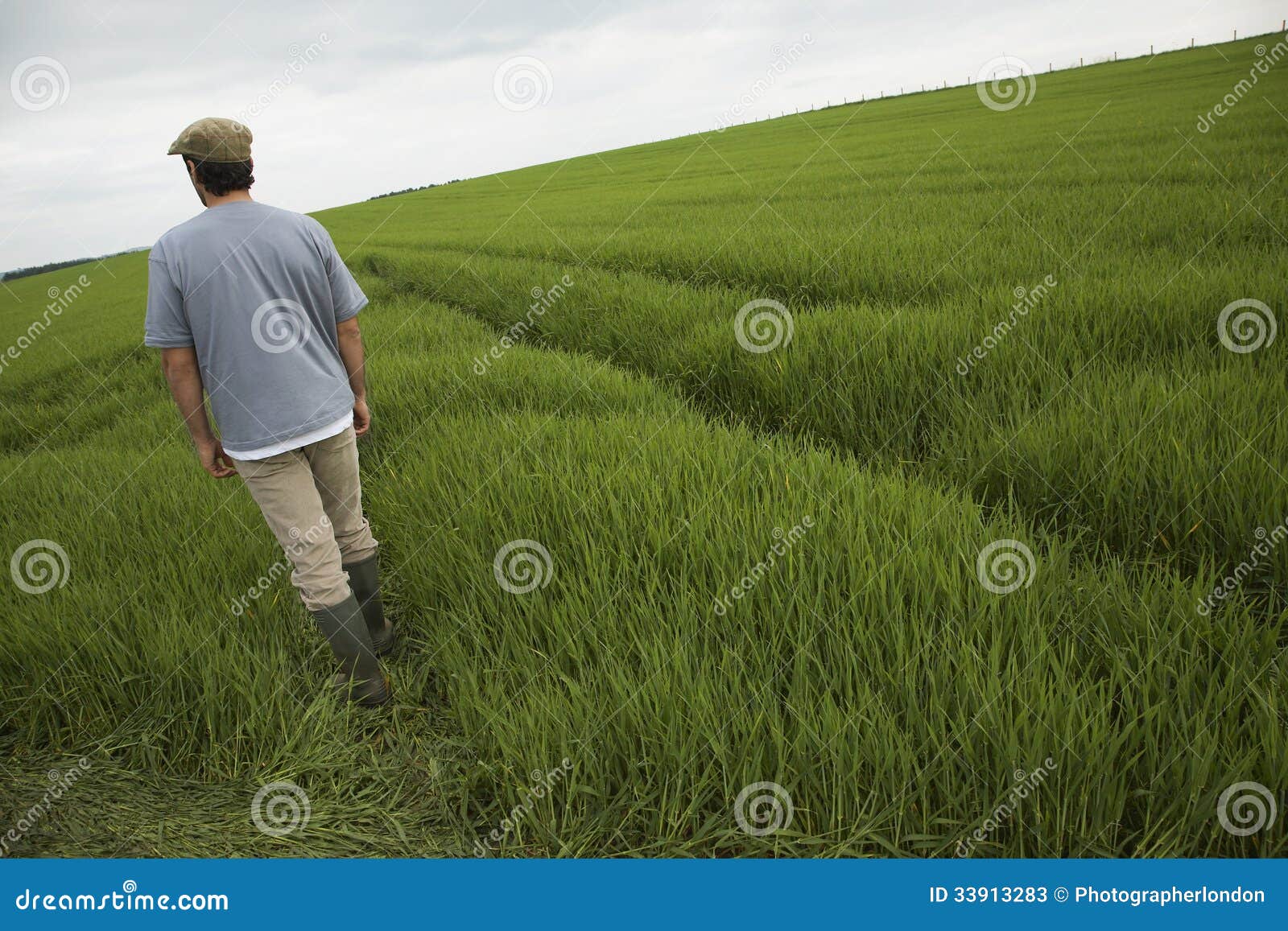 Man Walking in Field stock image. Image of nature, male - 33913283 Man Walking in Field stock image. Image of nature, male - 33913283
