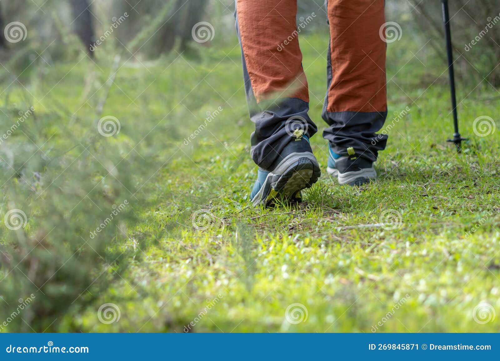 Man Walking in the Field with Trekking Pole Stock Image - Image of ...