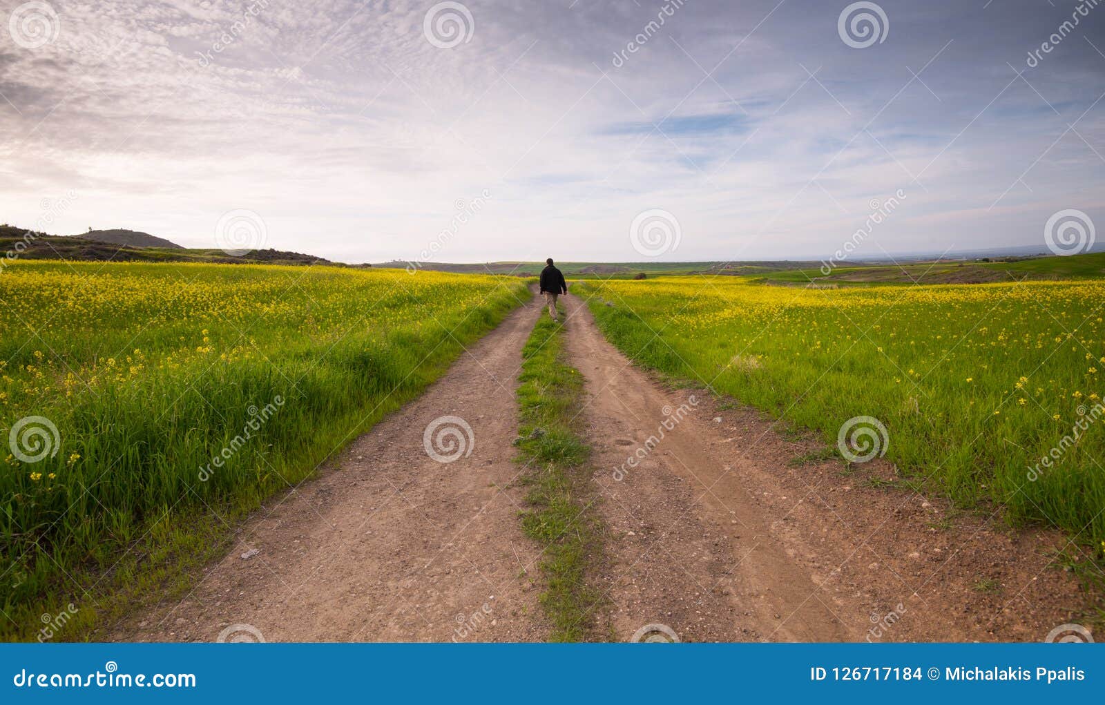 Man walking in the fields stock photo. Image of landscape - 126717184