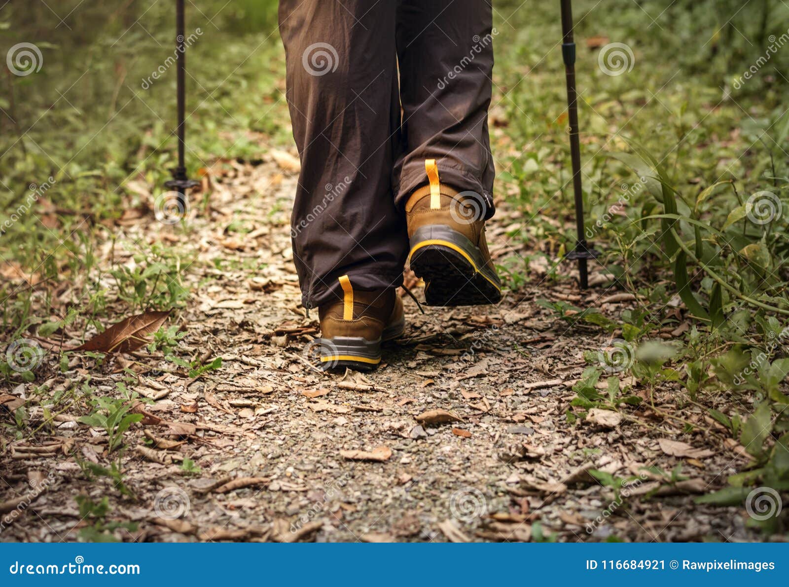 Man Walking into the Forest Alone Stock Image - Image of bubble, couch ...