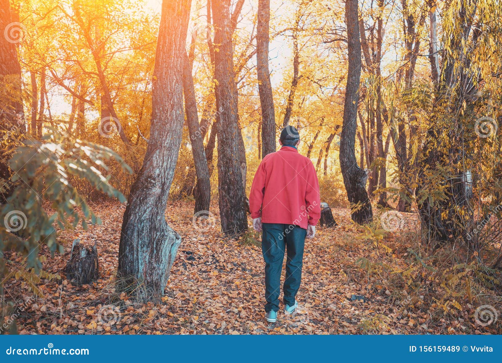 A Man Walking in the Autumn Forest Stock Image - Image of hike, fallen ...