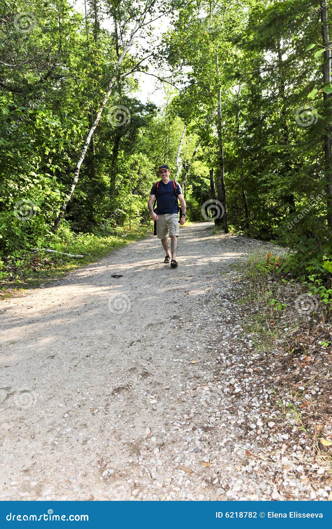 Man Walking on Forest Trail Stock Photo - Image of forest, people: 6218782