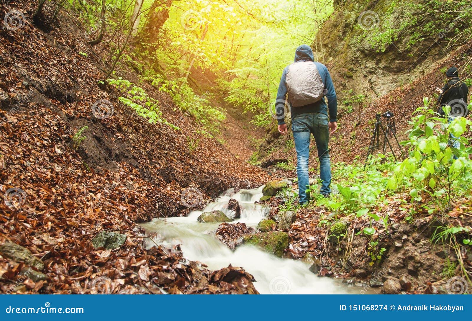 Man Walking in Forest. Water River in the Forest Stock Photo - Image of ...