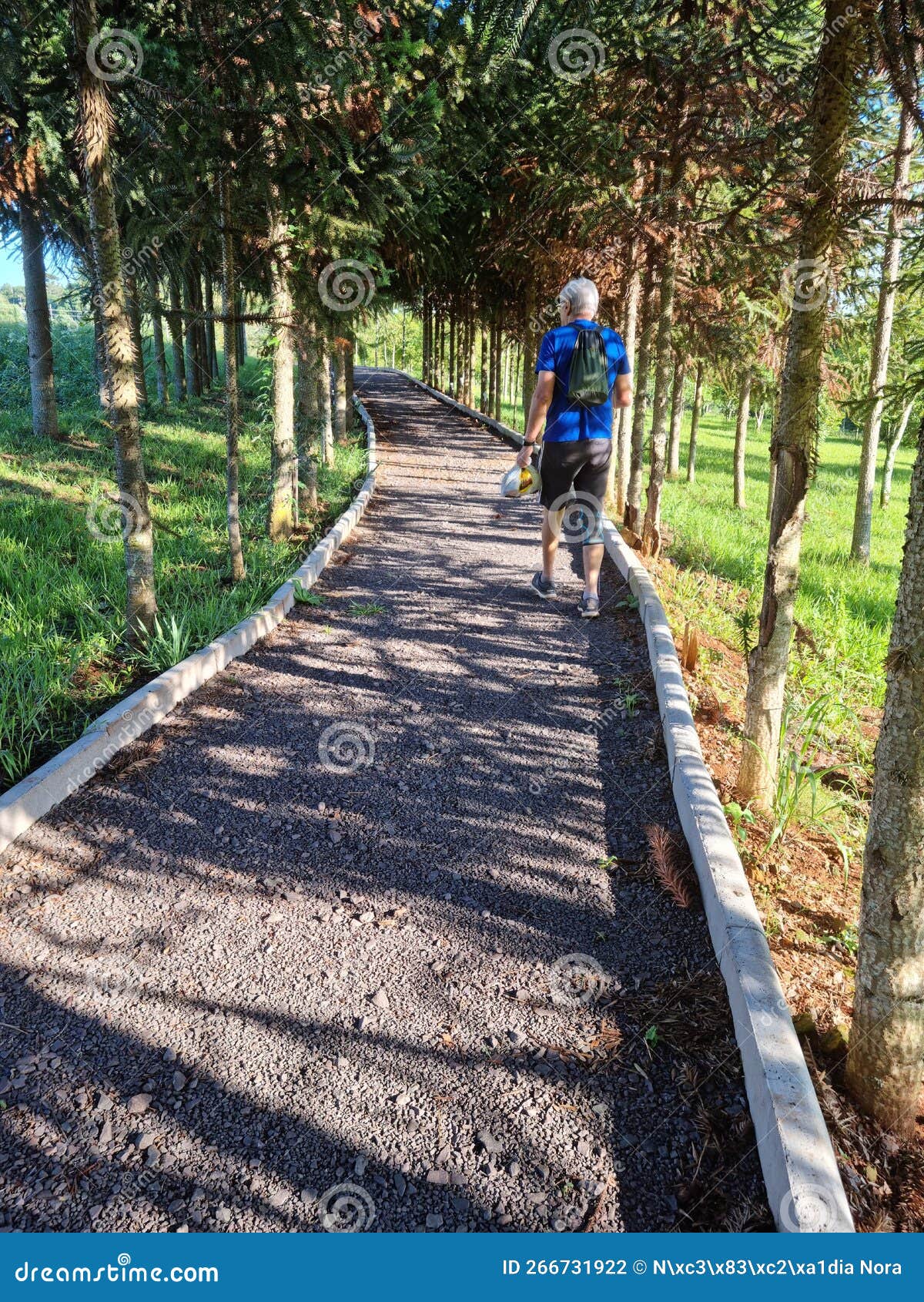 Man Walking on a Gravel Path through the Trees Stock Photo - Image of ...