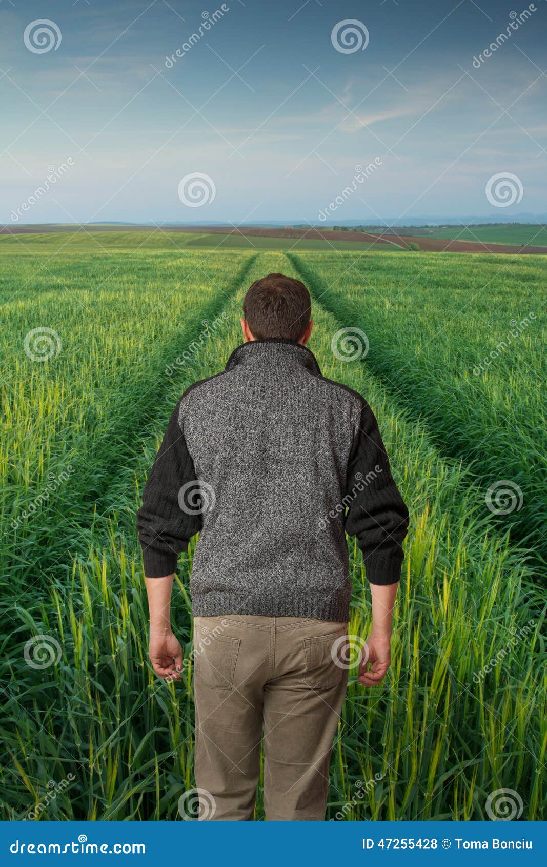 Man Walking in a Green Field Stock Photo - Image of happy, countryside ... Man Walking in a Green Field Stock Photo - Image of happy, countryside ...