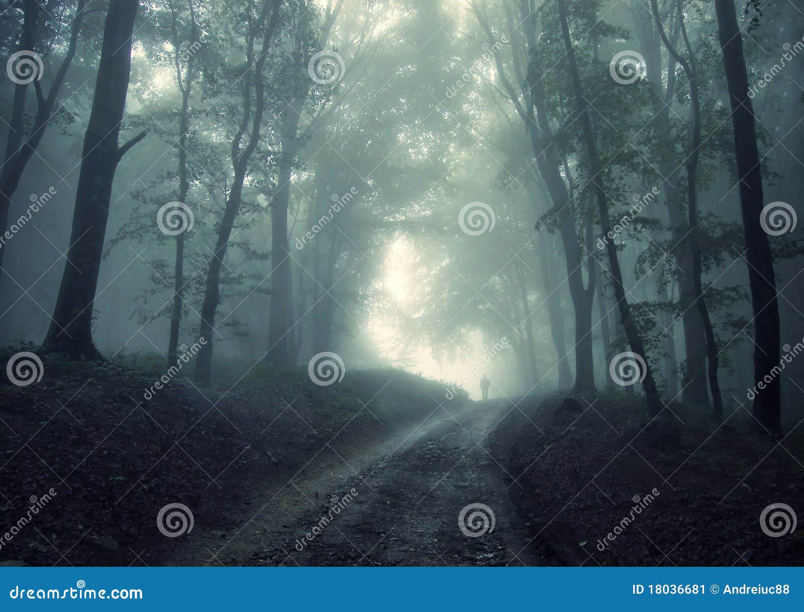 Man Walking in a Green Forest with Fog Stock Image - Image of ground ...
