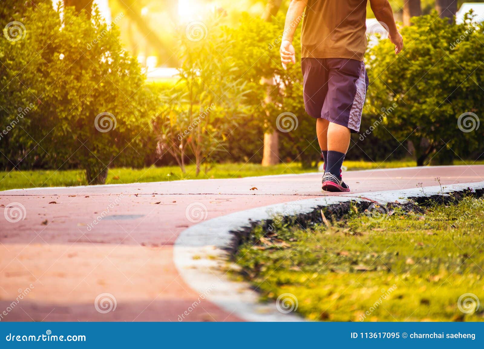 The Man Walking on the Ground in the Park. Stock Image - Image of male ...
