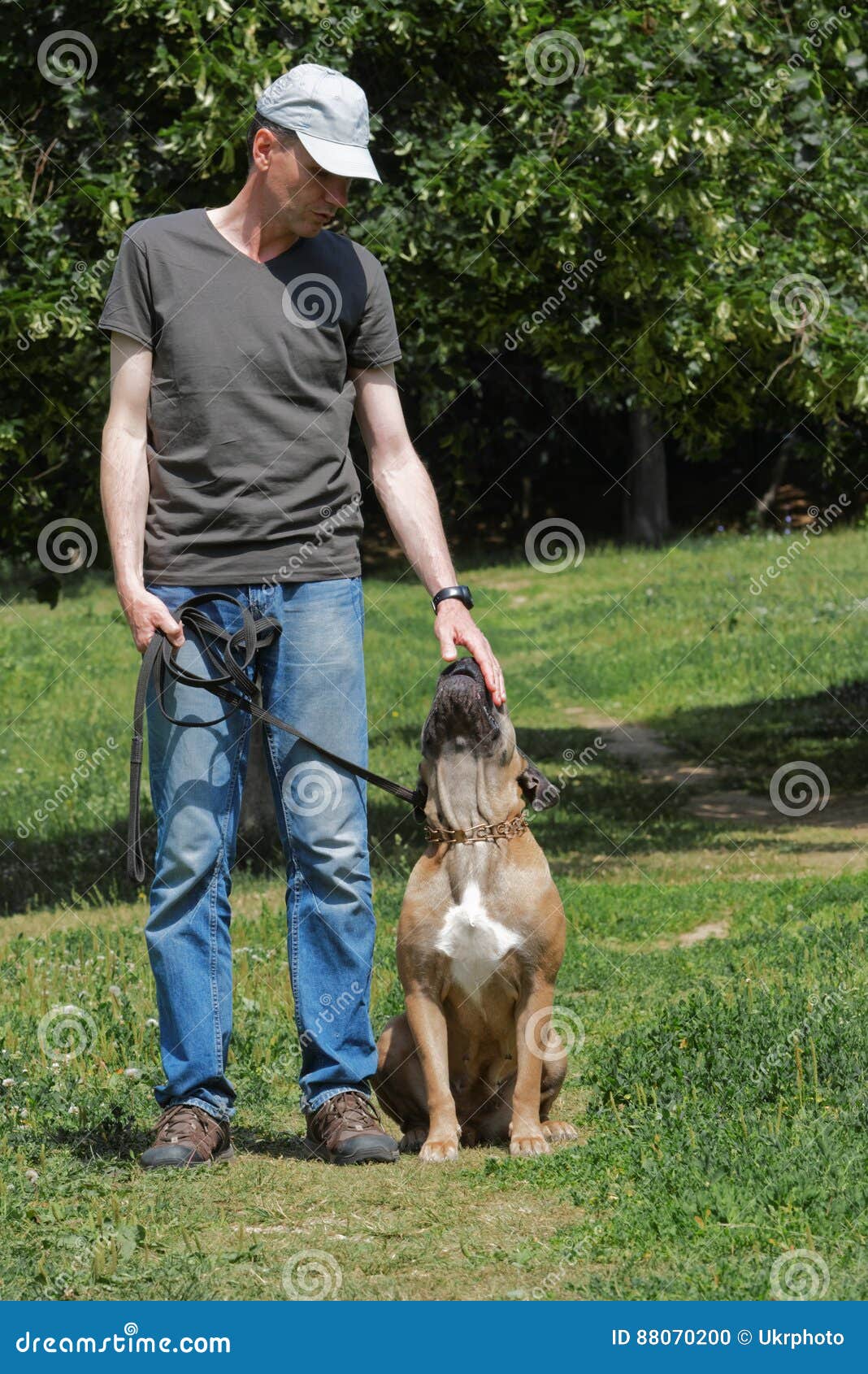 Man walking with his dog stock photo. Image of park, obedience - 88070200
