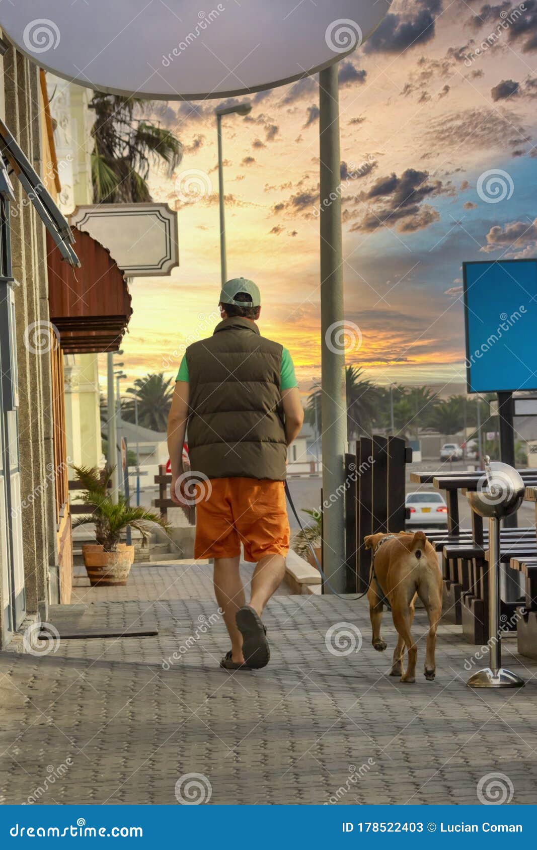 Man walking his dog stock image. Image of exercise, obedient - 178522403