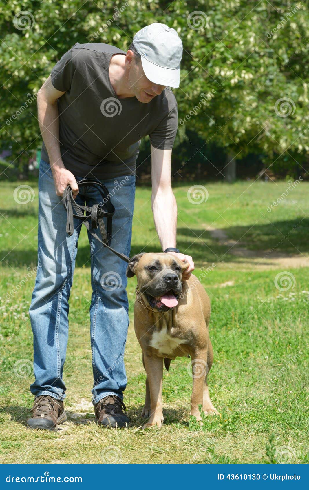 Man walking with his dog stock photo. Image of training - 43610130