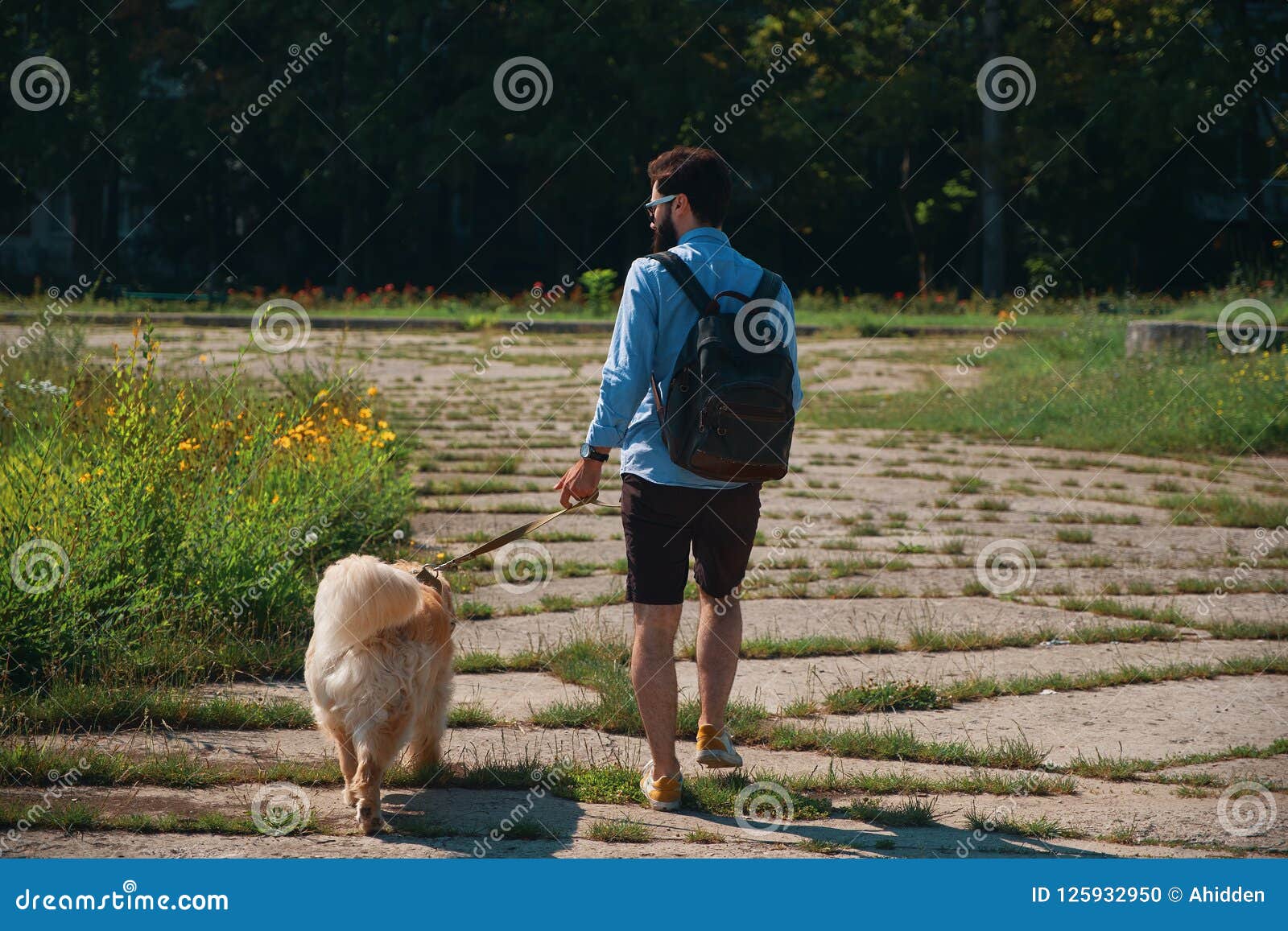 Man Walking His Dog in the Park Stock Photo - Image of cheerful ...