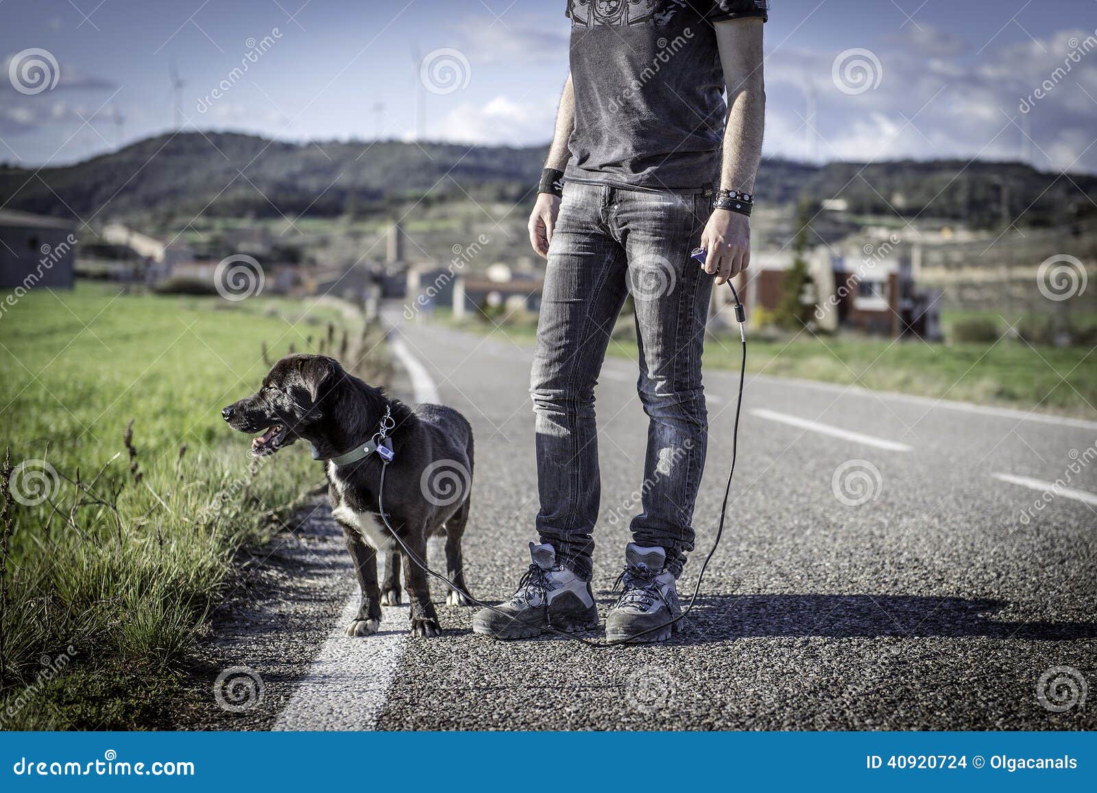 Man Walking His Dog on the Road Stock Photo - Image of pedigreed ...