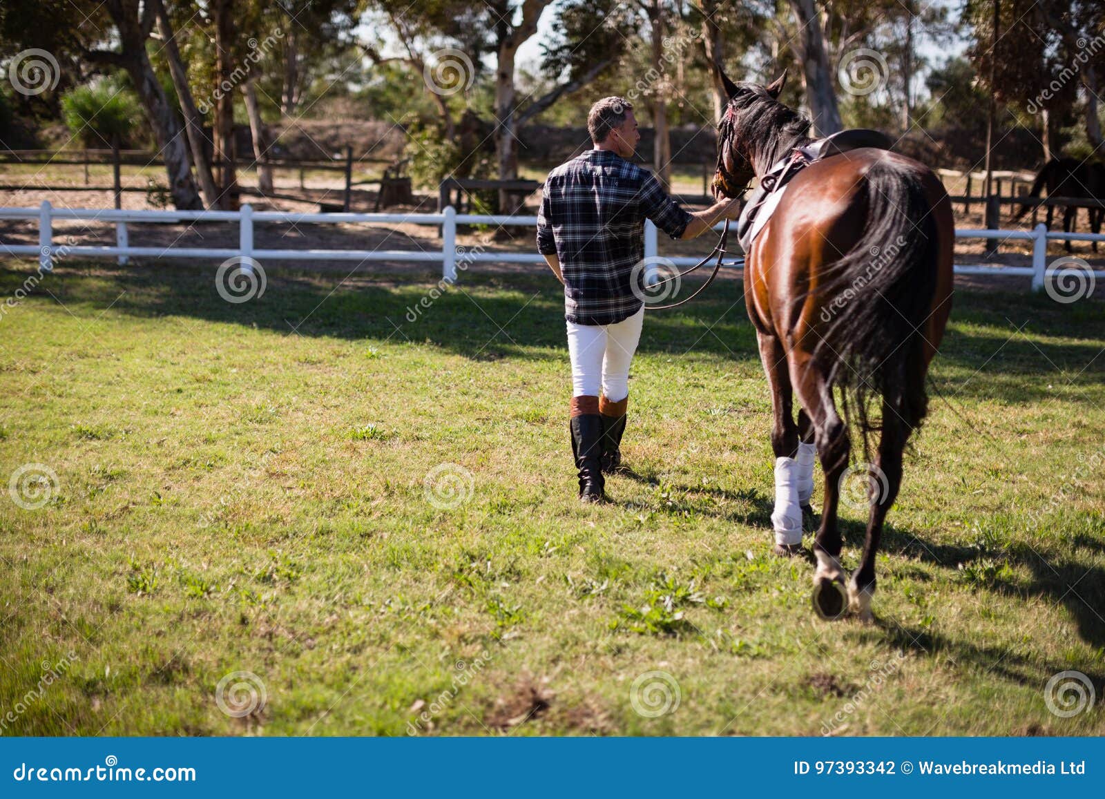 Man Walking with Horse in the Ranch Stock Photo - Image of bonding ...