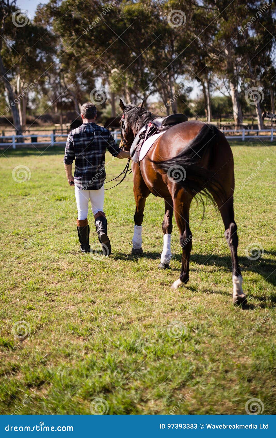 Man Walking with Horse in the Ranch Stock Image - Image of pony ...