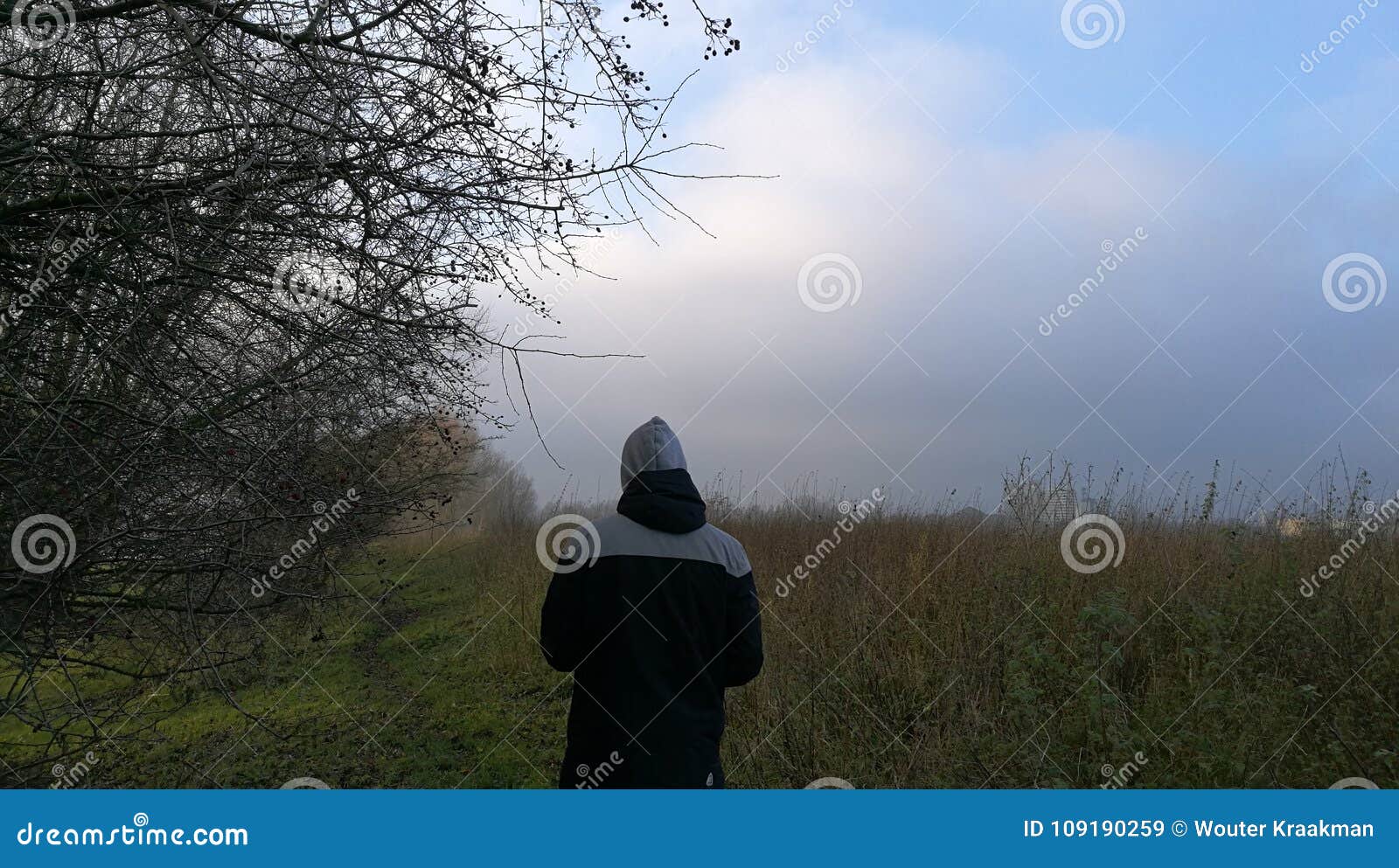 Man walking in nature stock image. Image of walking - 109190259